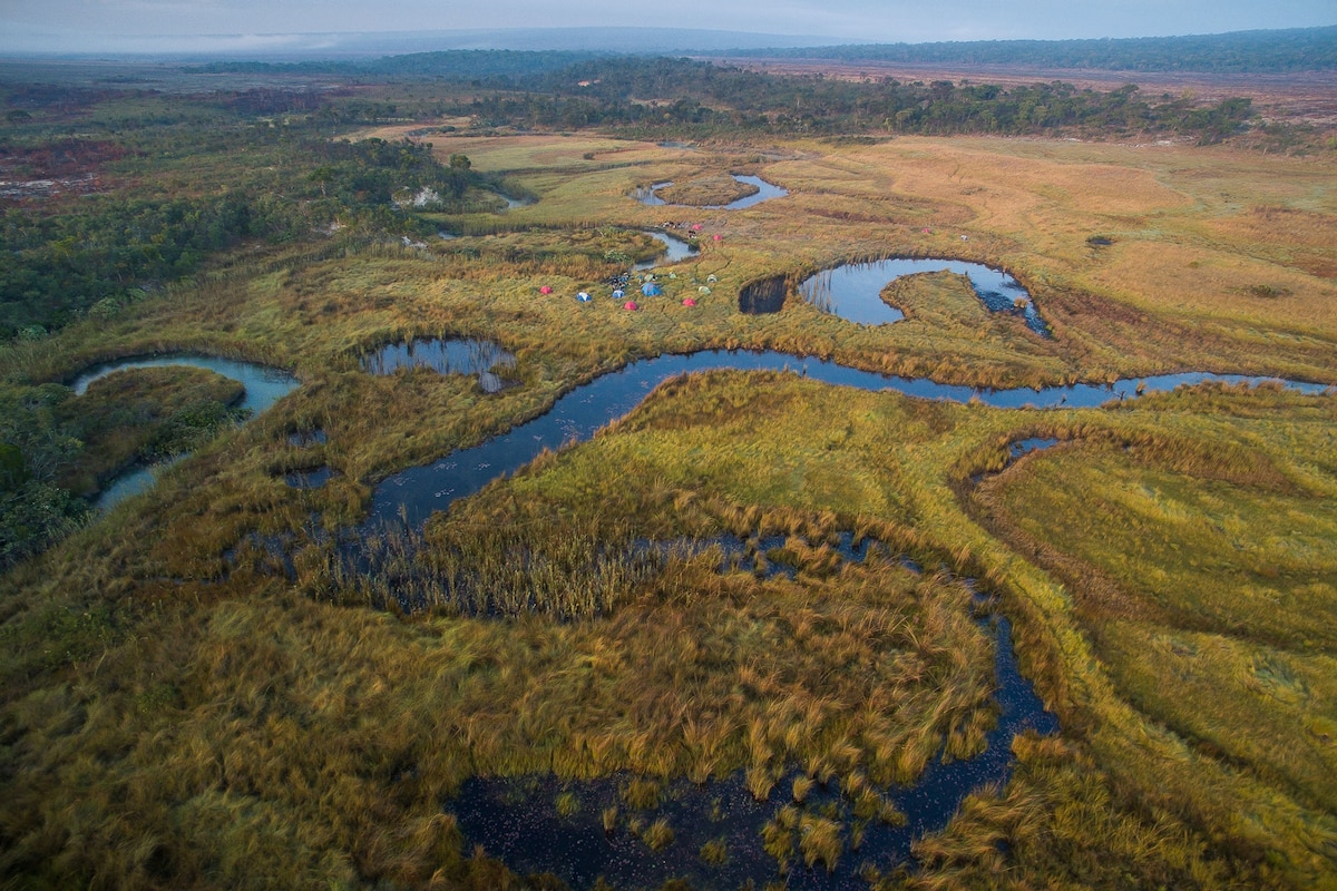 Pictures Reveal Beauty, Peril in Africa's Largest Wetland