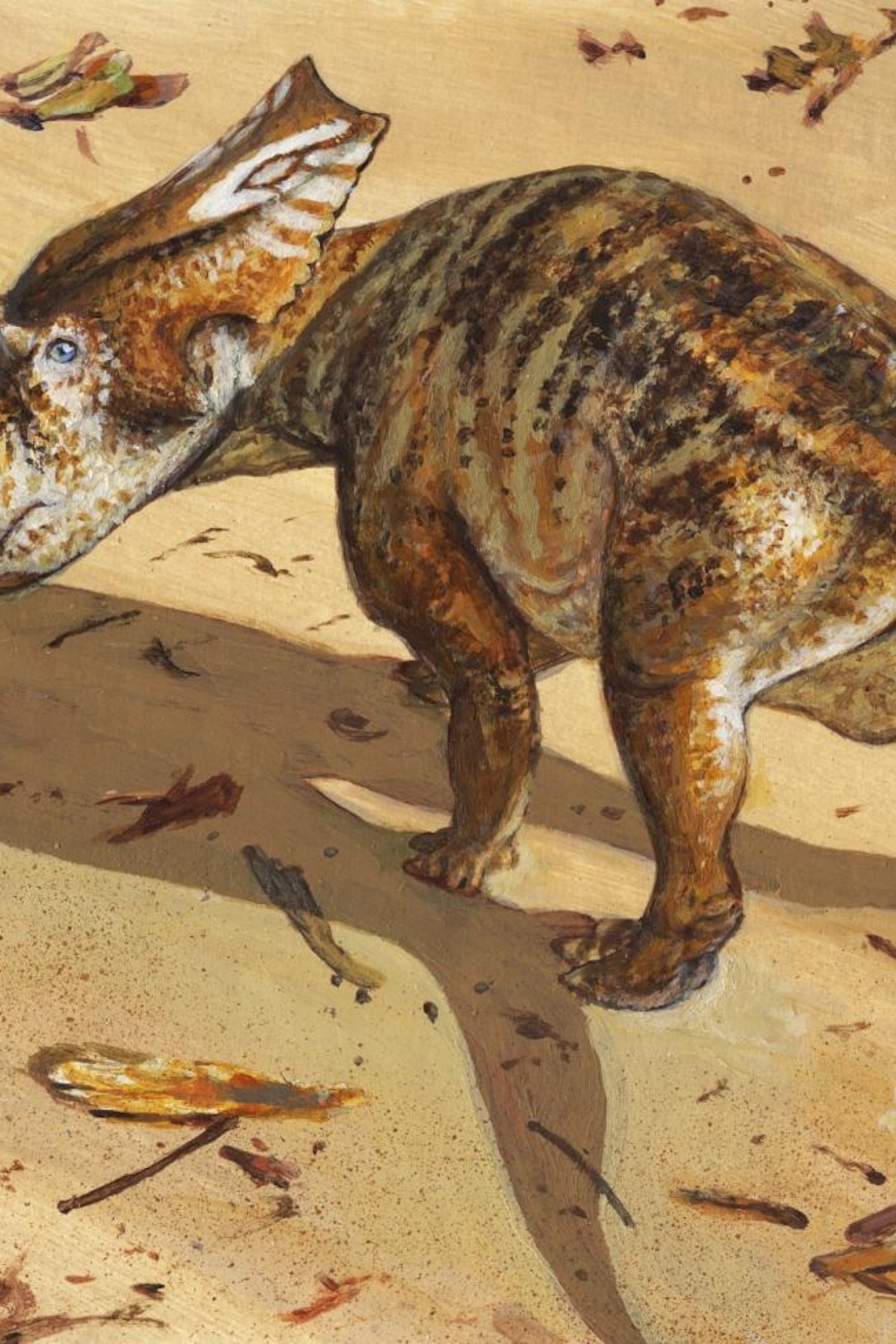 Planet Dinosaur Chasmosaurus