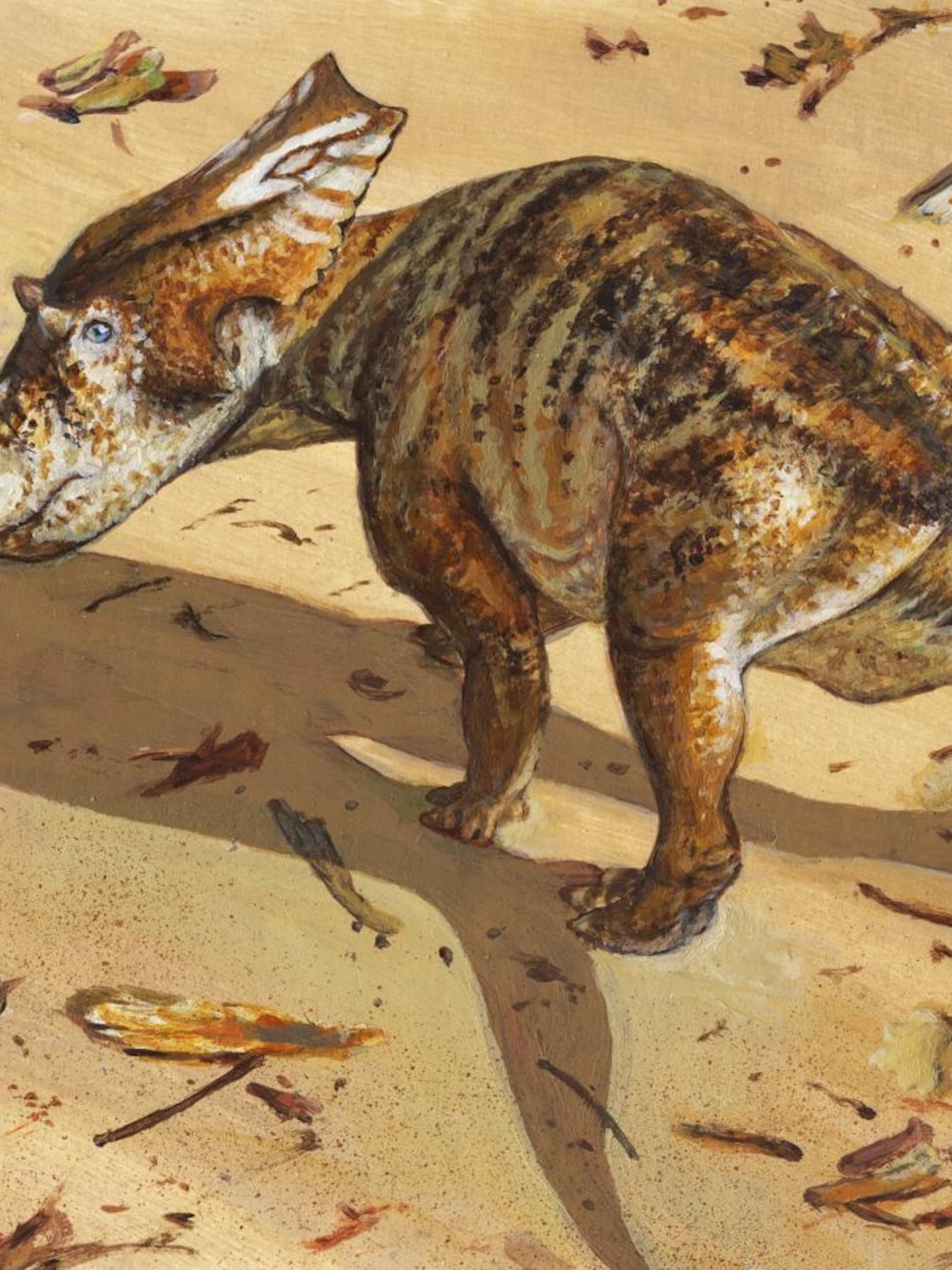 Dinosaur King Brachyceratops