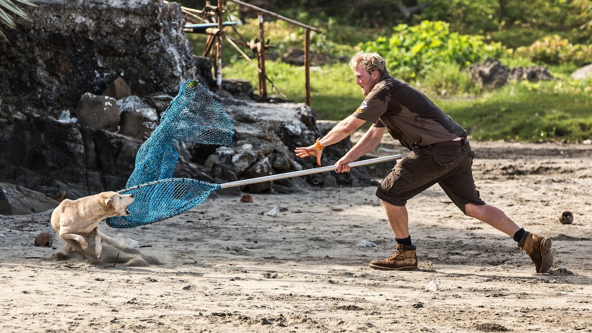 Mission Rabies Leads the Pack in Dog Vaccinations in India | National ...