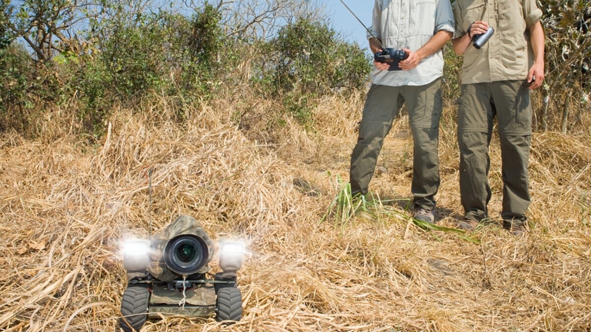 Pictures: Lion Steals Roving Camera, "Takes" Photos | National Geographic