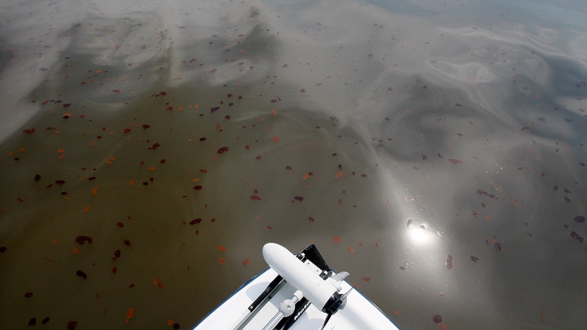 Gulf Oil Spill Surprises: 6 Things Experts Got Wrong | National Geographic