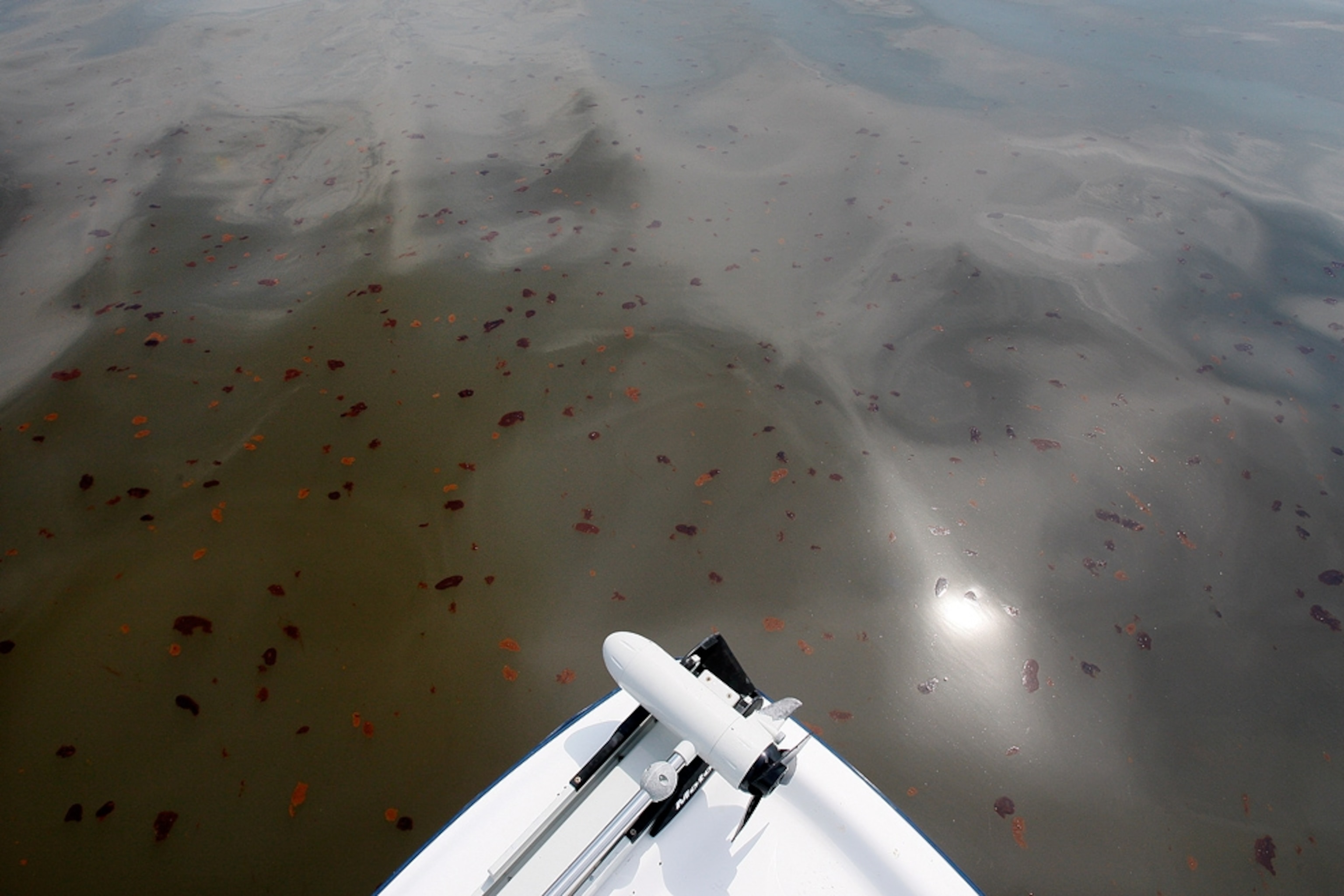 Gulf Oil Spill Surprises: 6 Things Experts Got Wrong