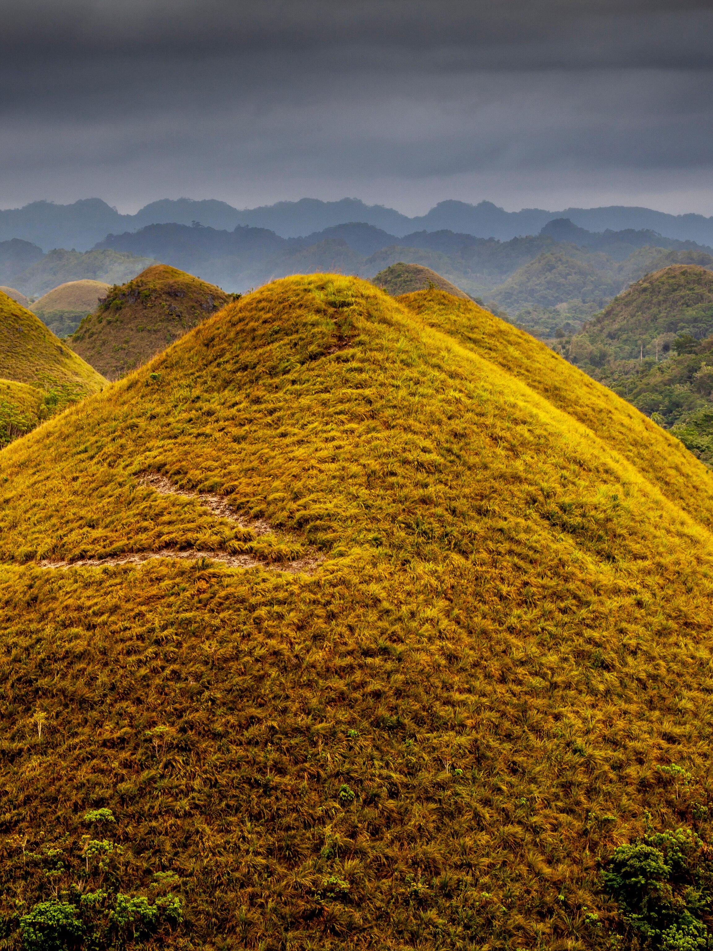 Chocolate Hills Night