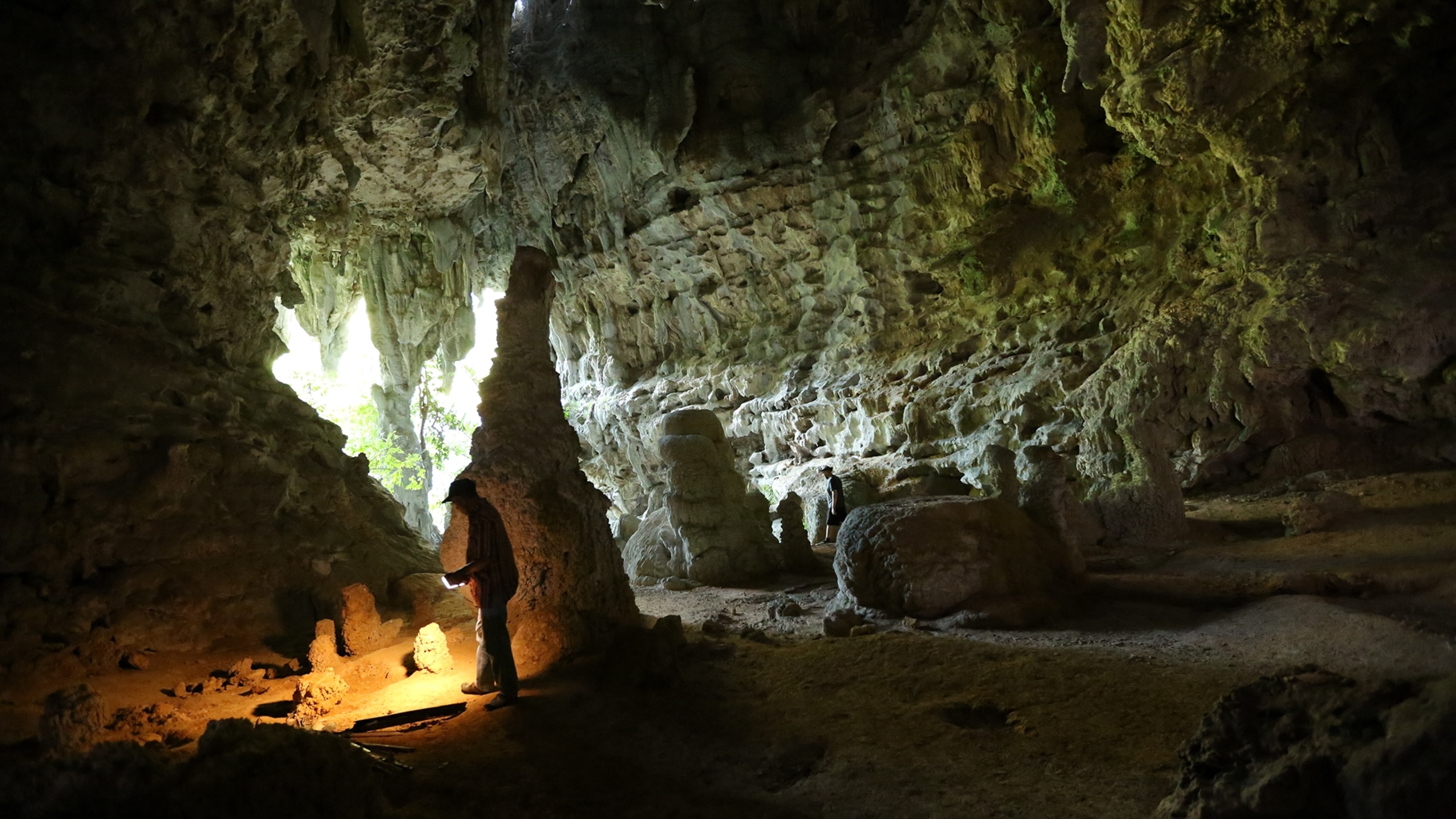Cave Paintings in Indonesia Redraw Picture of Earliest Art