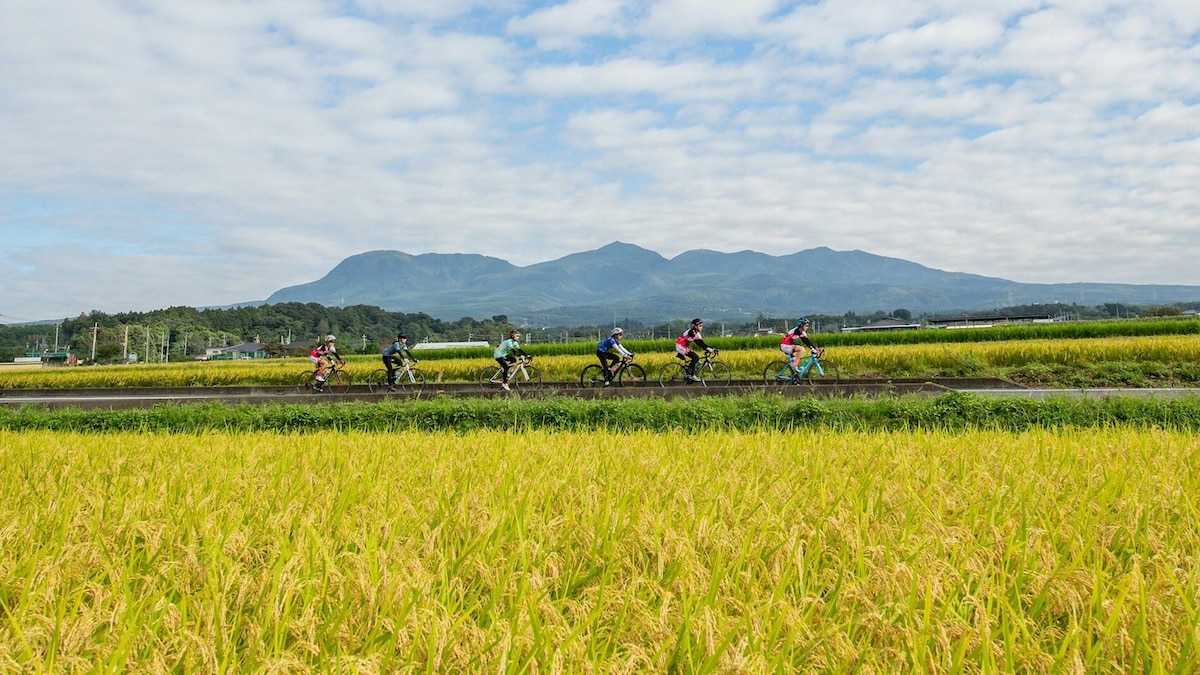 How to explore the landscapes of Japan's Mount Akagi on a cycling ...