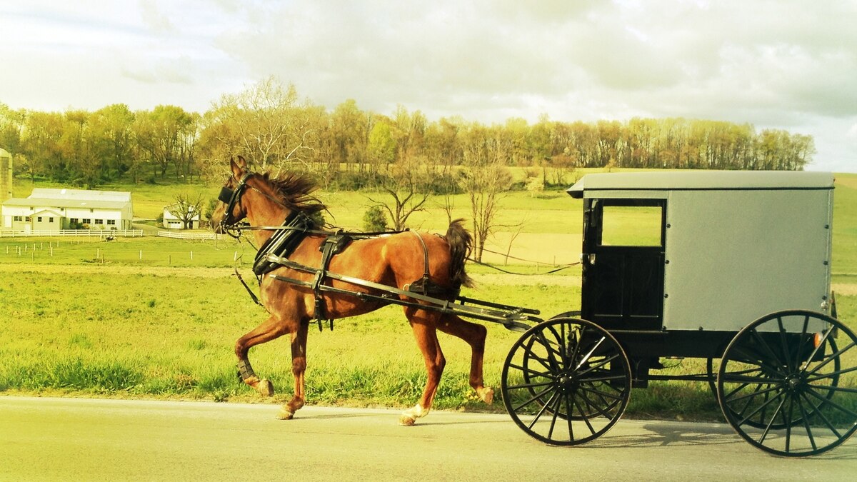 Amish Country, Here We Come! | National Geographic