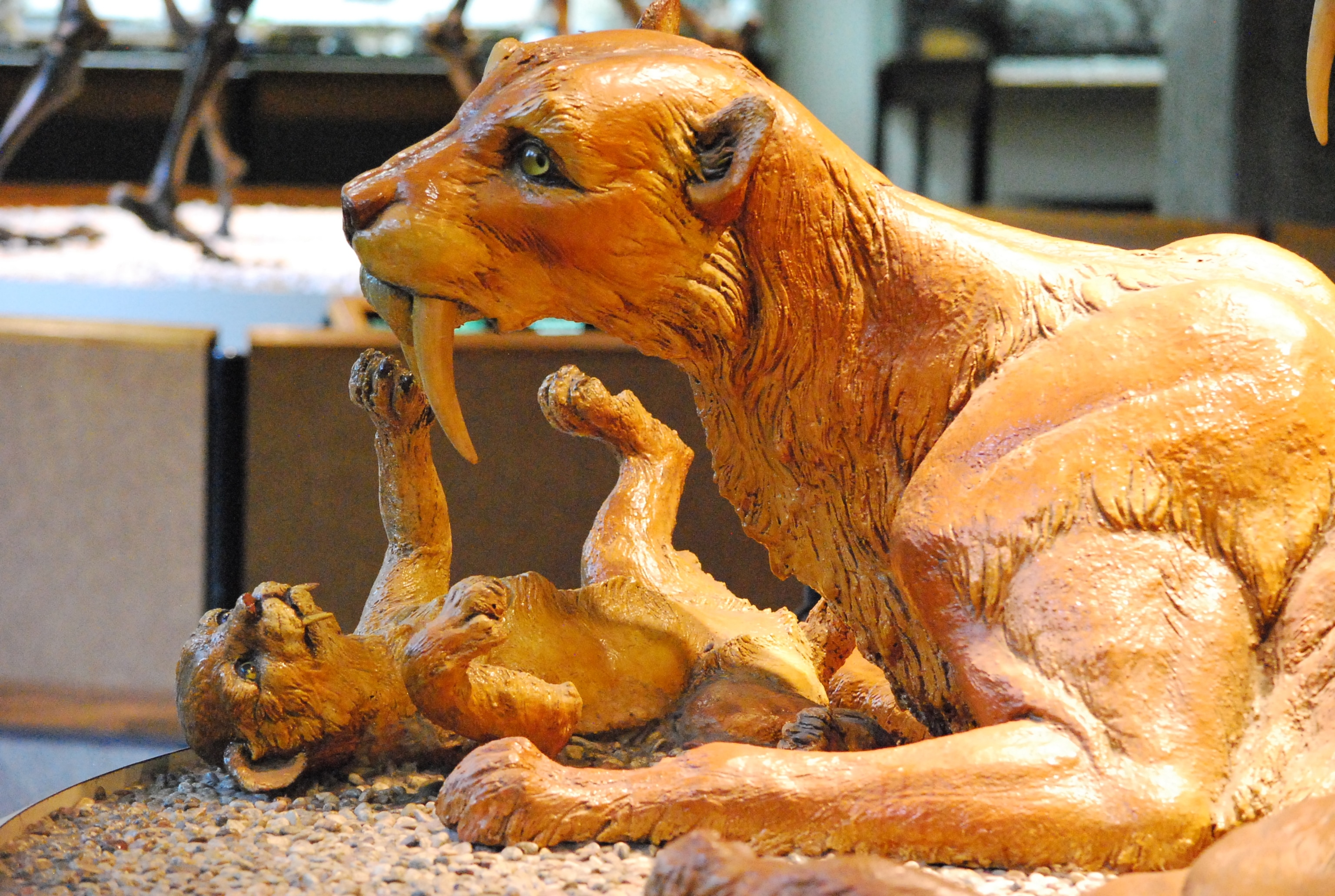 How Saberkittens Got Their Fangs | National Geographic