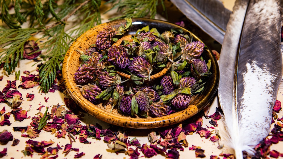 Meet the Métis: culture and crafts with the First Nation people of ...