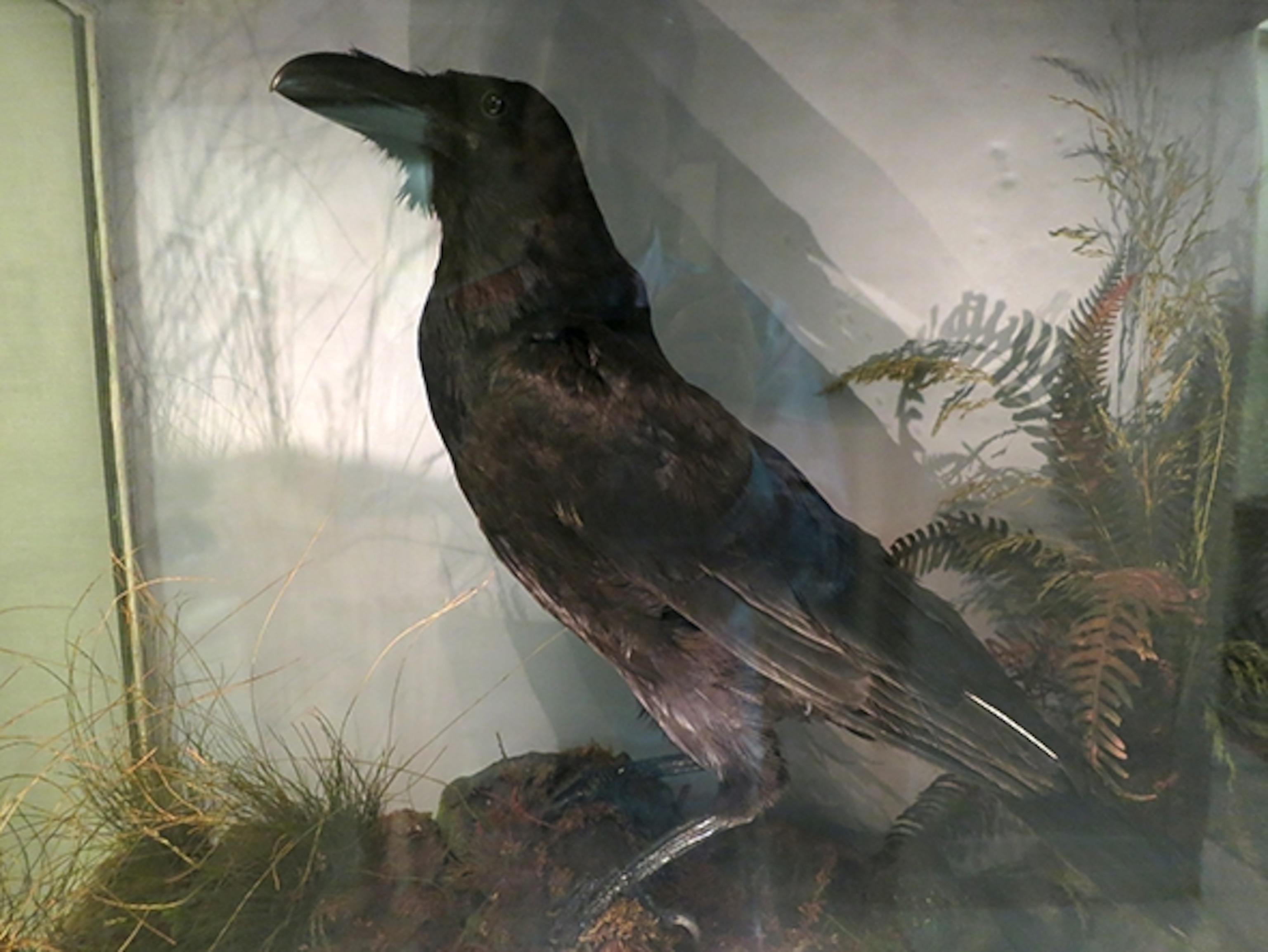 StrangePlanet Trivia #3: Travel Oddities & Quirky Wonders | National ...