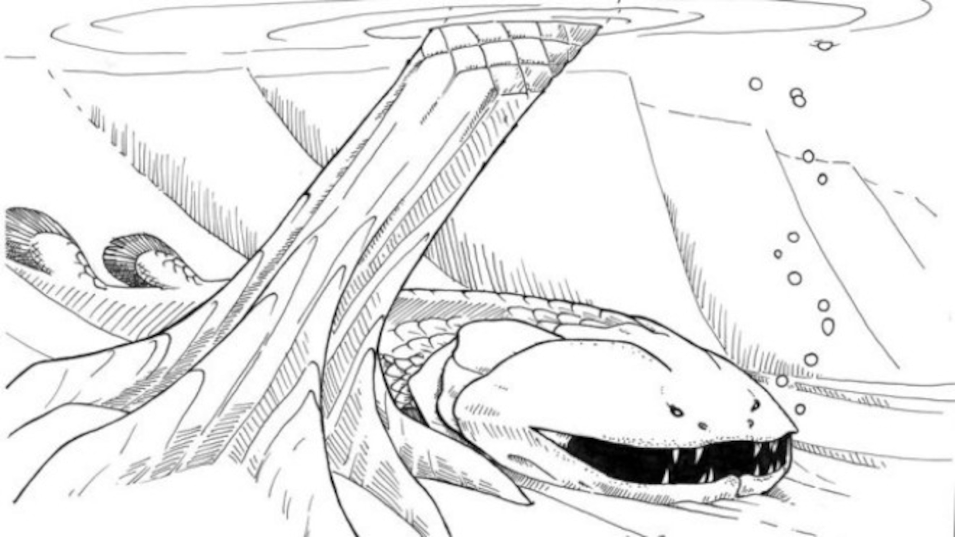 Nunavut’s Big, Bad Fossil Fish | National Geographic