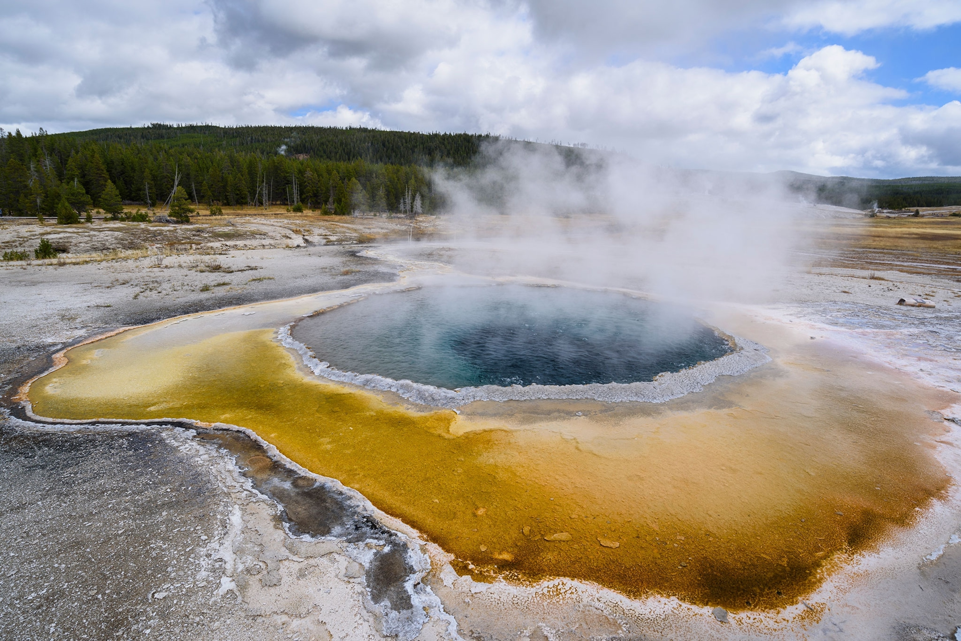Get the Basics on Your Next Yellowstone Trip | National Geographic