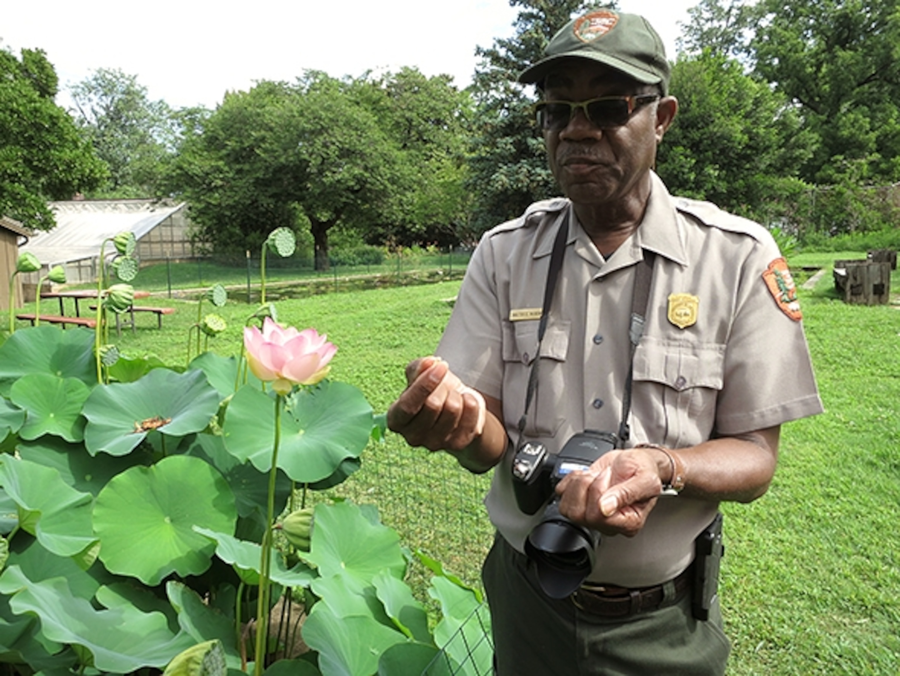 Finding Life in a D.C. Swamp | National Geographic