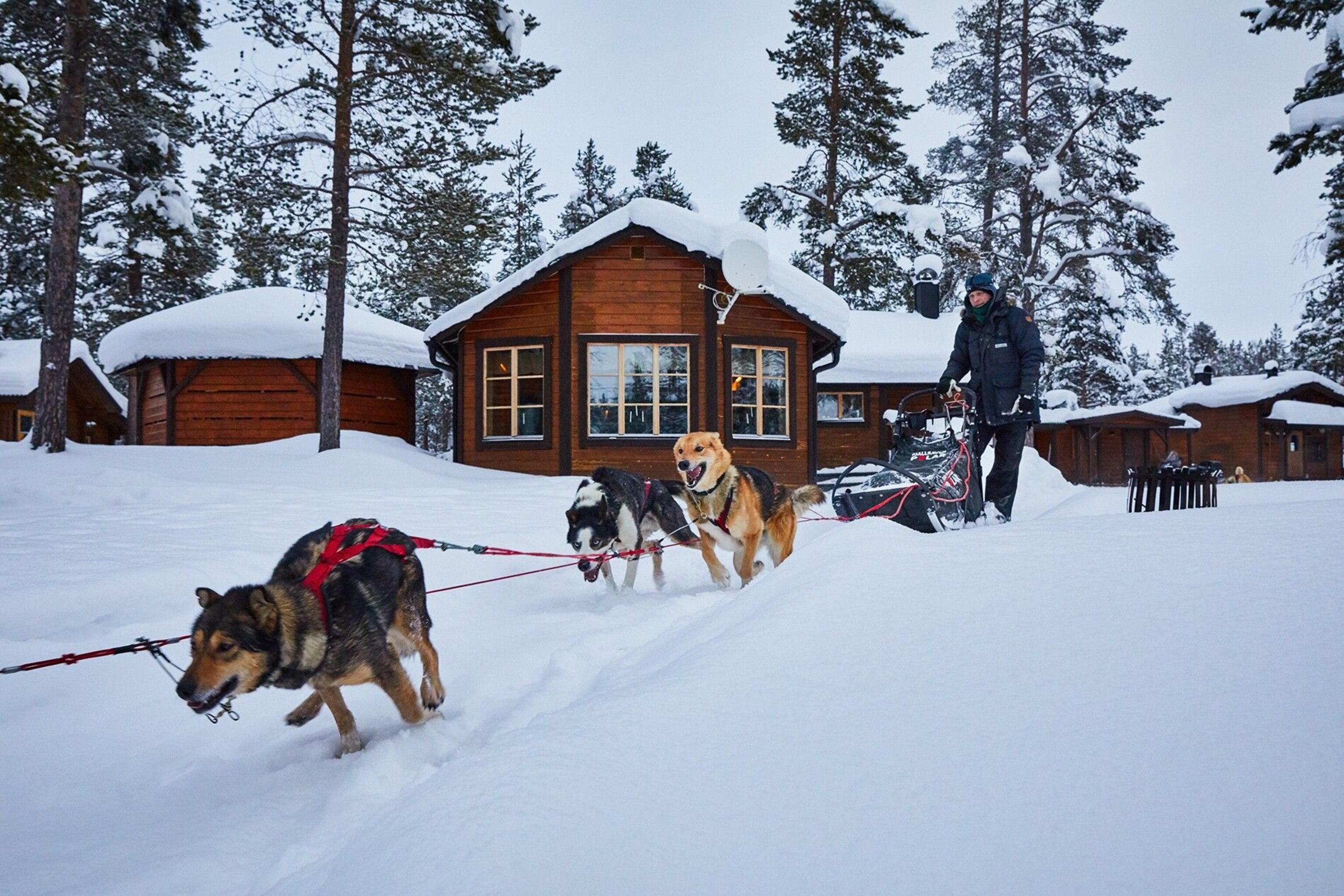 Photo story: winter adventures in northern Sweden