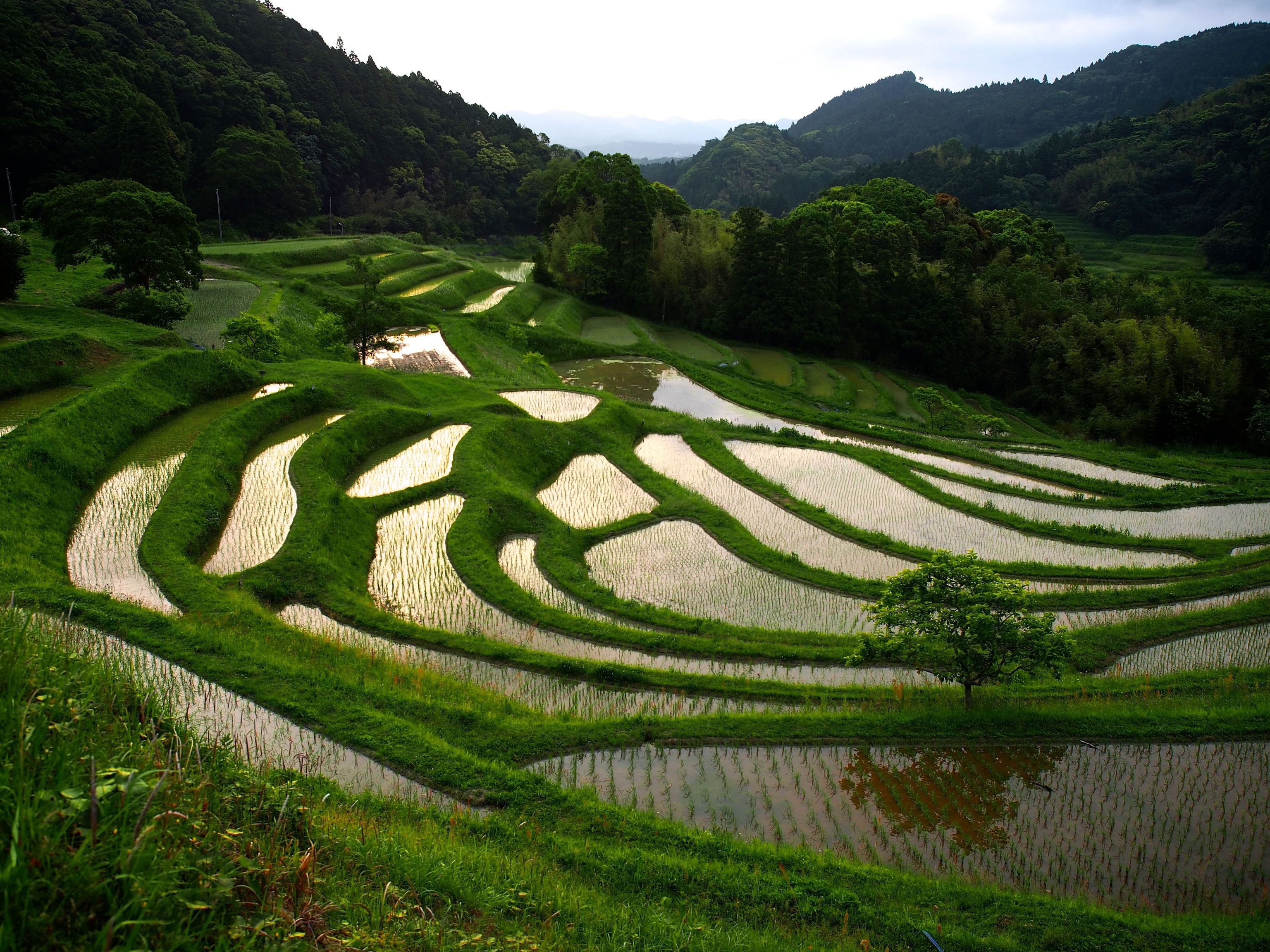 Your Japan Photos -- National Geographic Travel