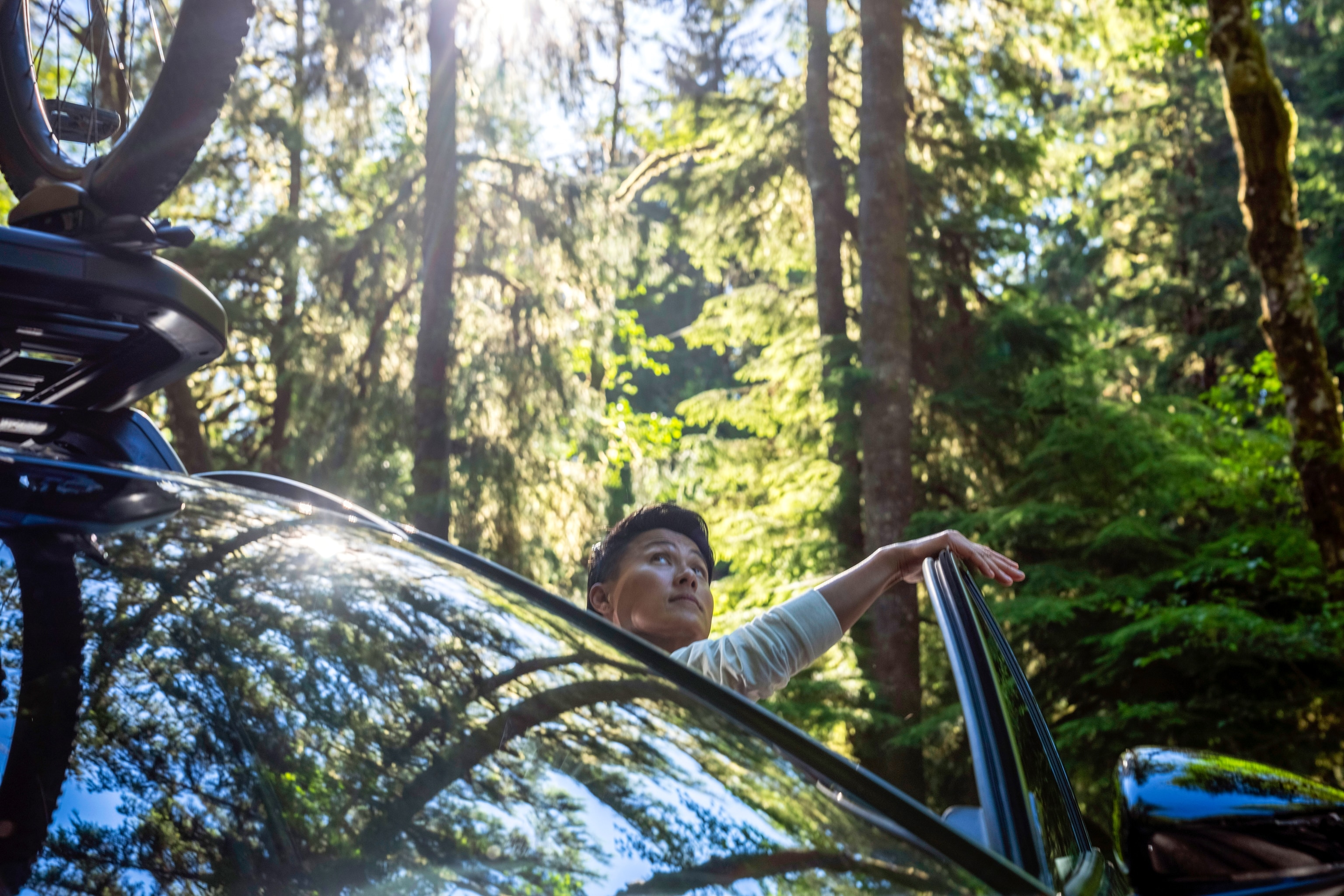 Finding balance and umami in the Olympic National Forest