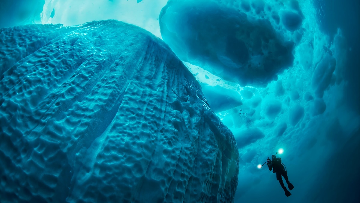 11 Incredible Pictures Reveal Hidden Underwater World | National Geographic