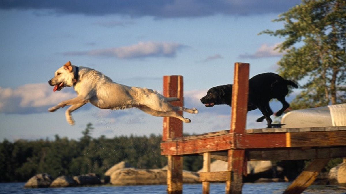 Summer at the Lake -- National Geographic Traveler | National Geographic