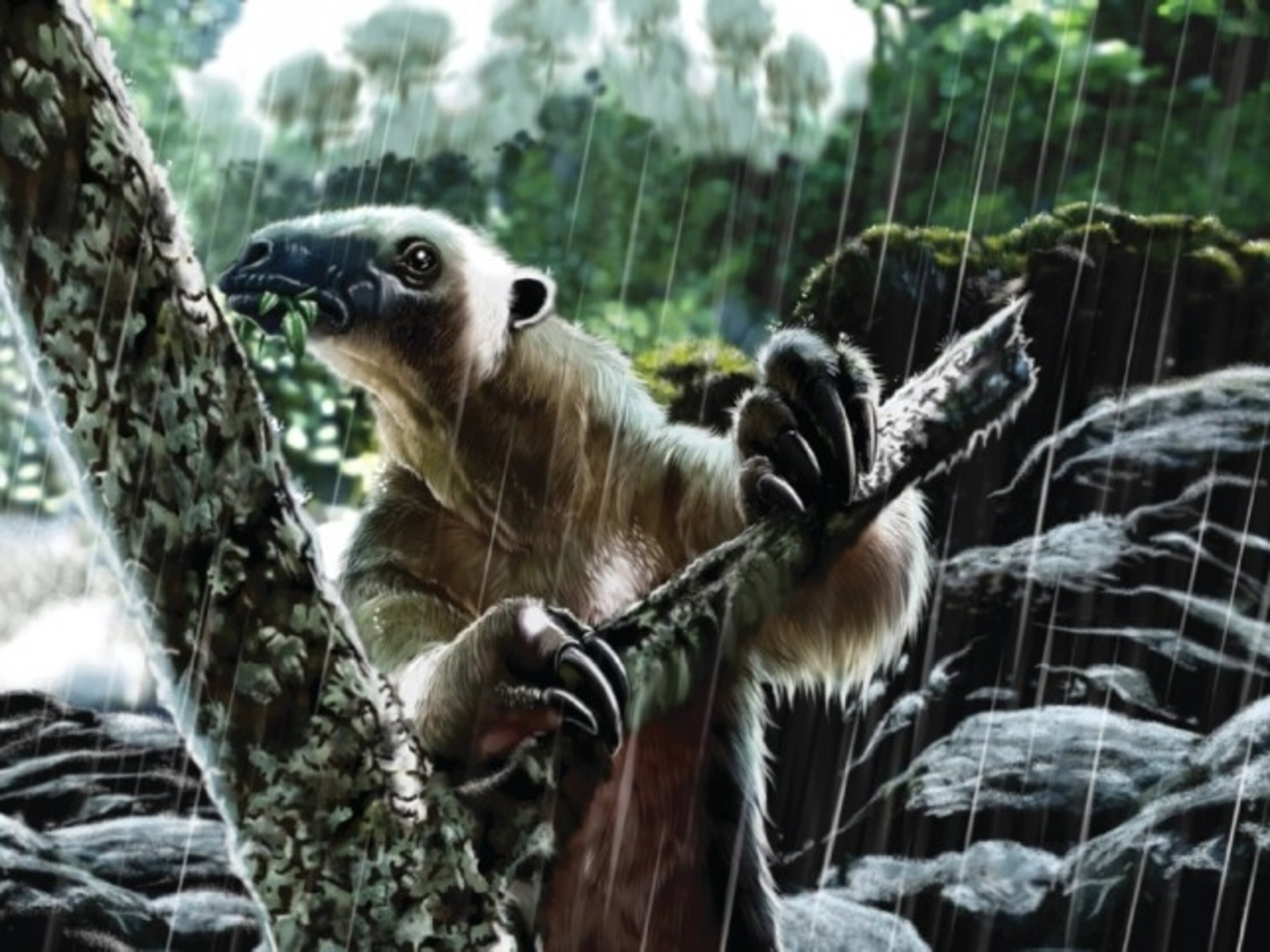 Megatherium Gets a New, Tiny Cousin