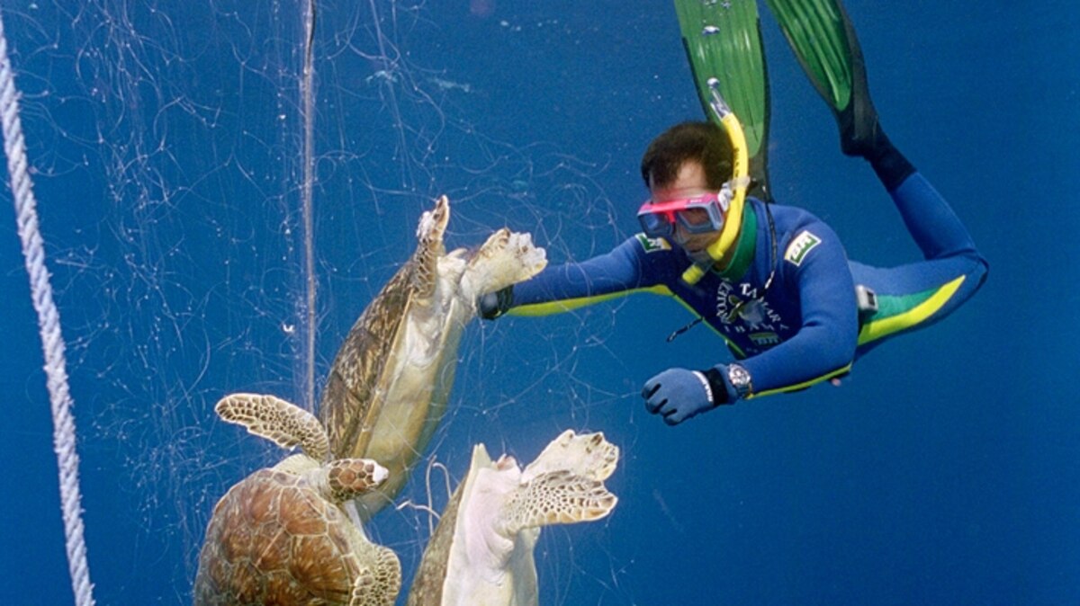 Ocean Pictures: Contest Winners Show Sea Life in Peril