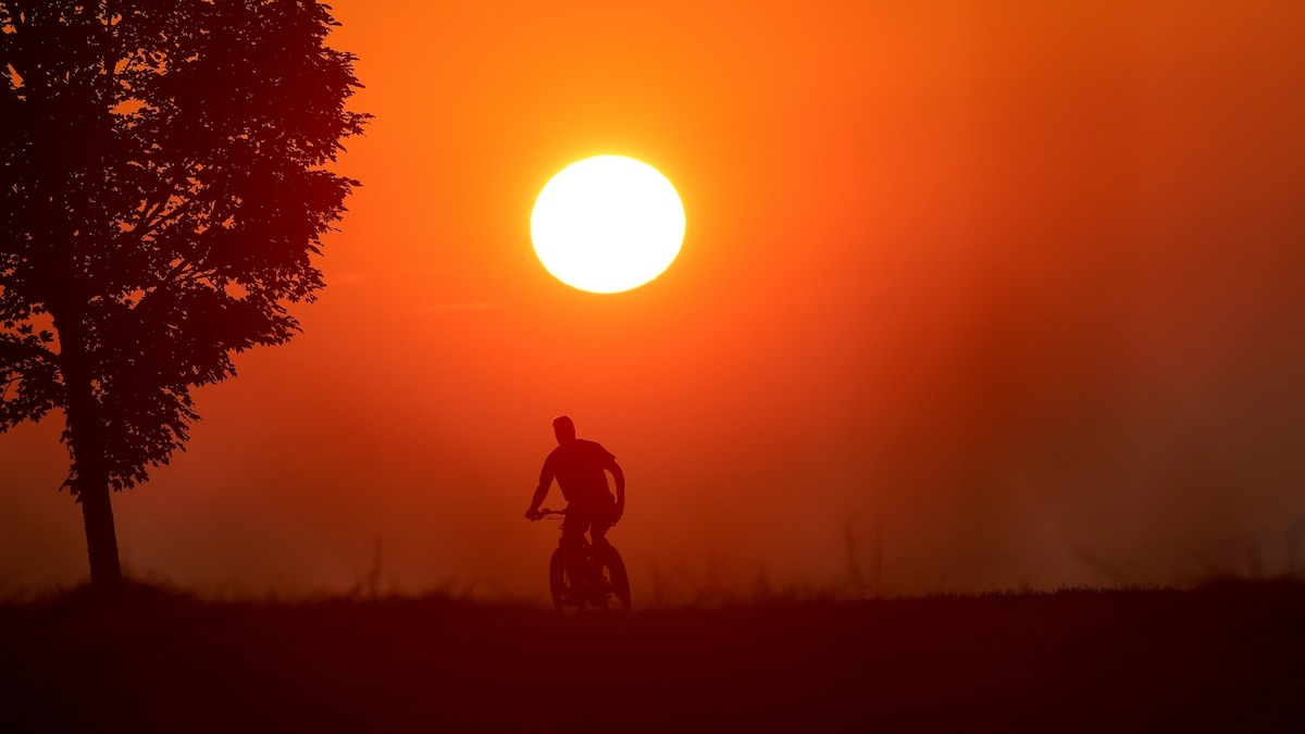 Earth just had its hottest day on record. One day it's going to feel ...