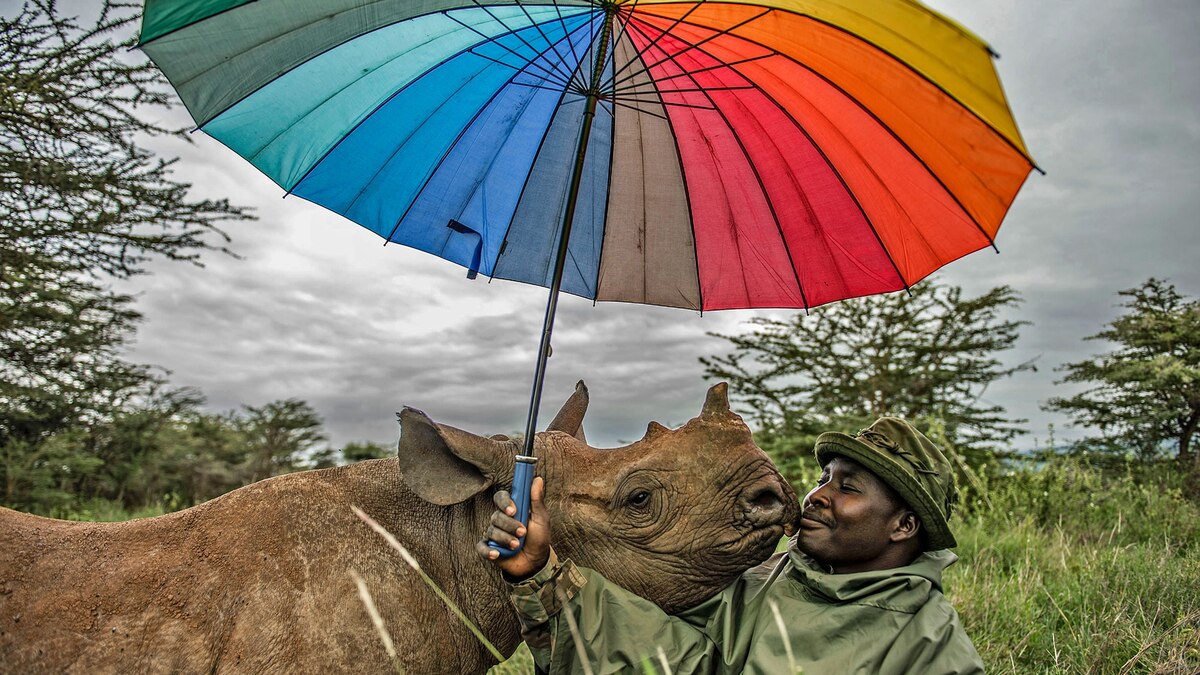 Capturing the Connection Between Wildlife and People | National Geographic