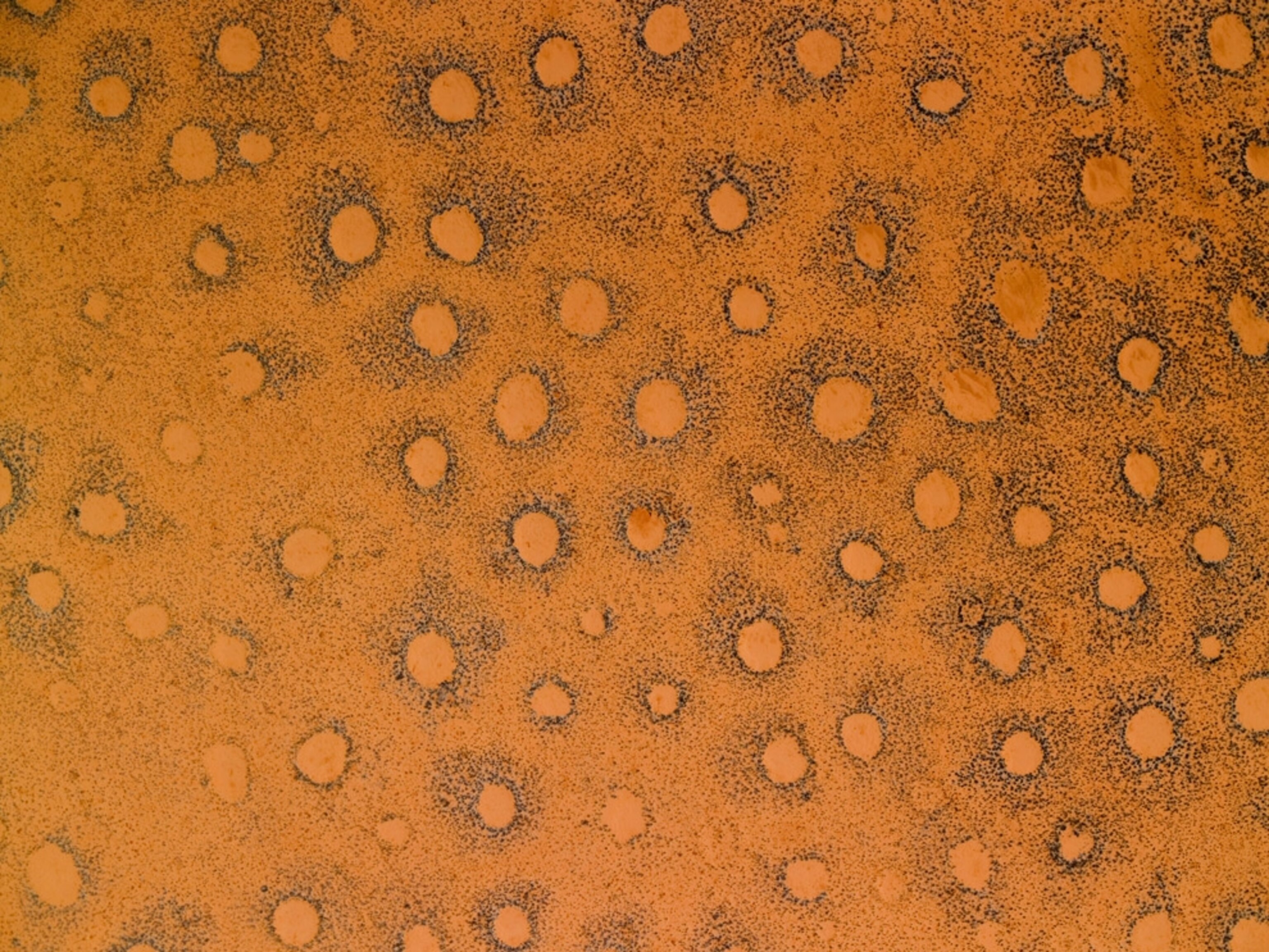 Mysterious Earth Pattern Pictures, Mysterious Earth Pattern Photos ...