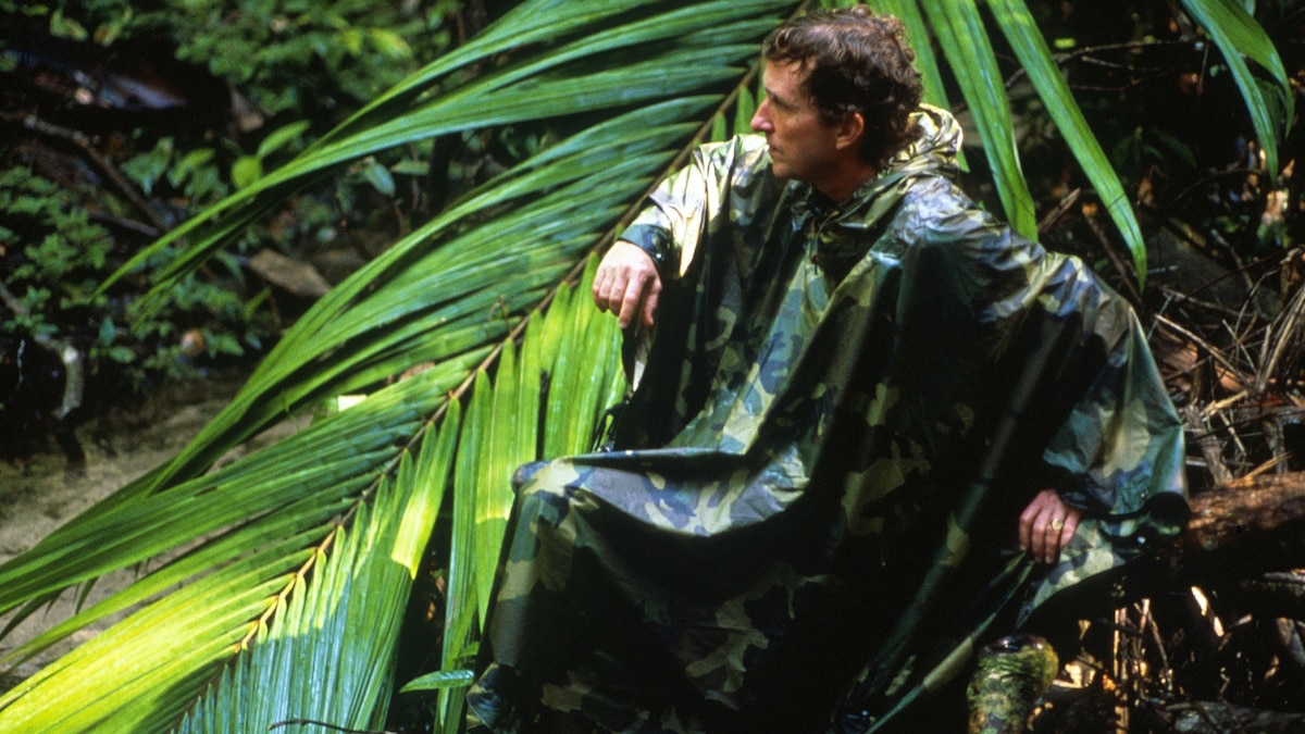 Thomas Lovejoy: In memoriam, celebrating the godfather of biodiversity ...