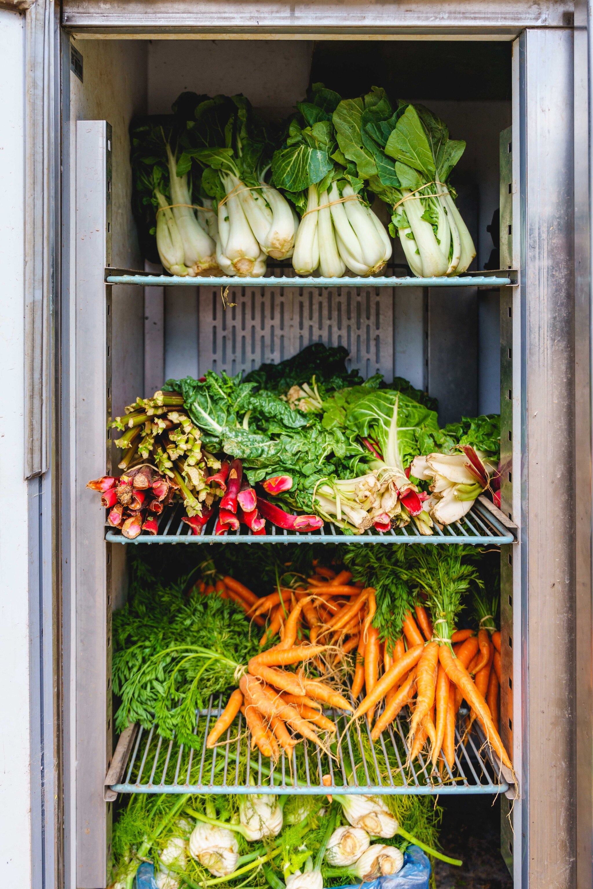 From saltbush to samphire: tasting the indigenous ingredients of ...