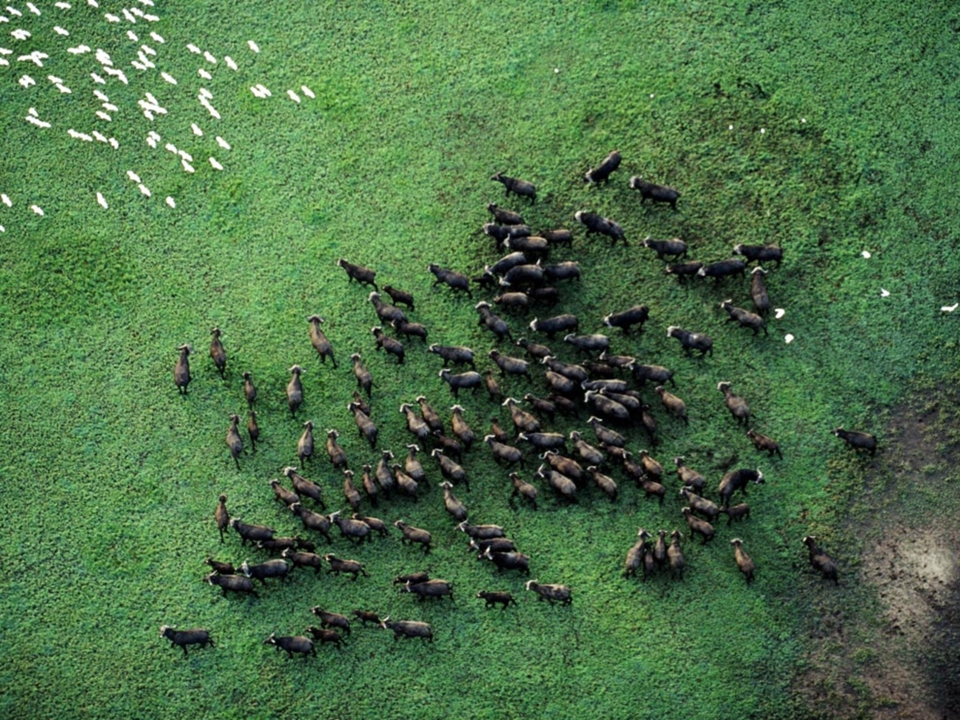 Valley Photos -- National Geographic