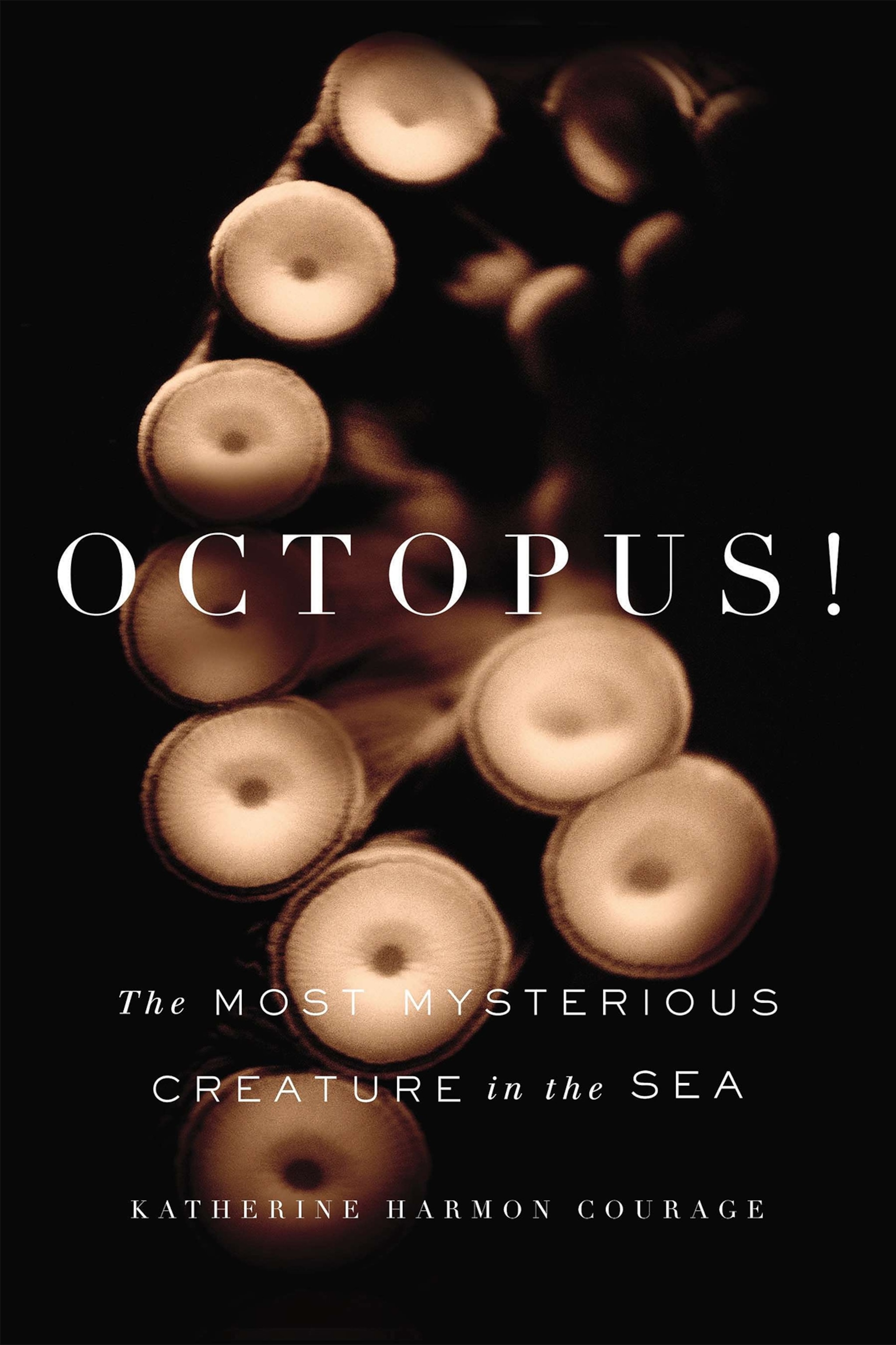 Journey of Octopus Discovery Reveals Them to Be Playful, Curious, Smart