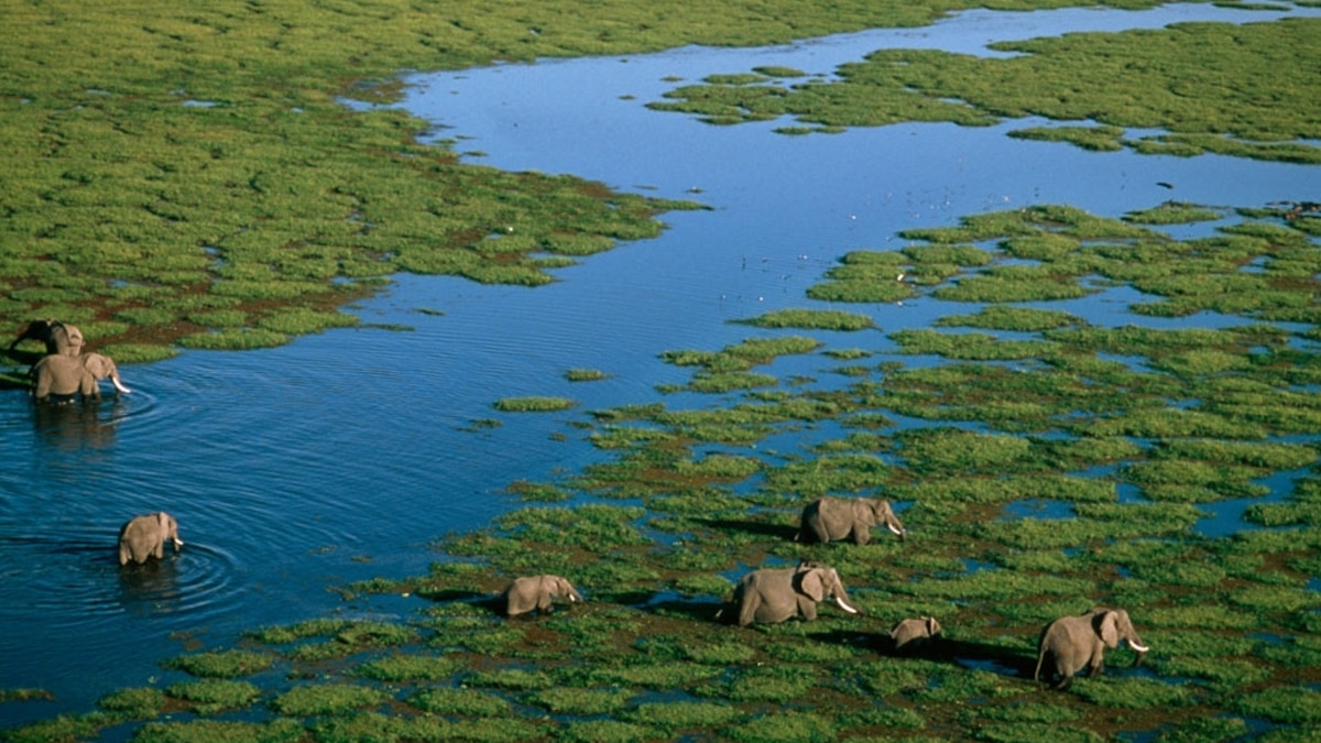Kenya Photos -- National Geographic | National Geographic