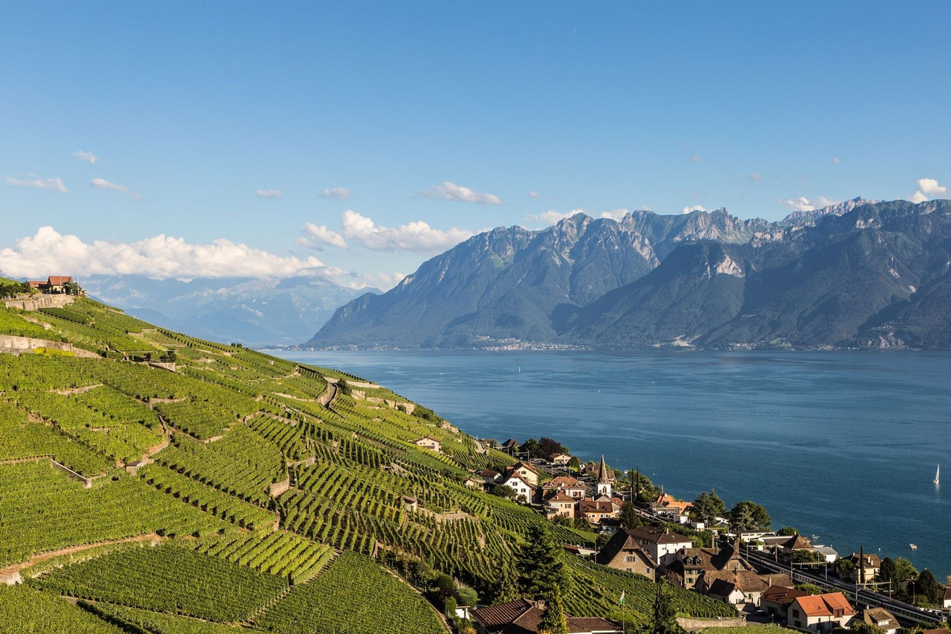 Exploring the terraced vineyards of Lavaux by bike