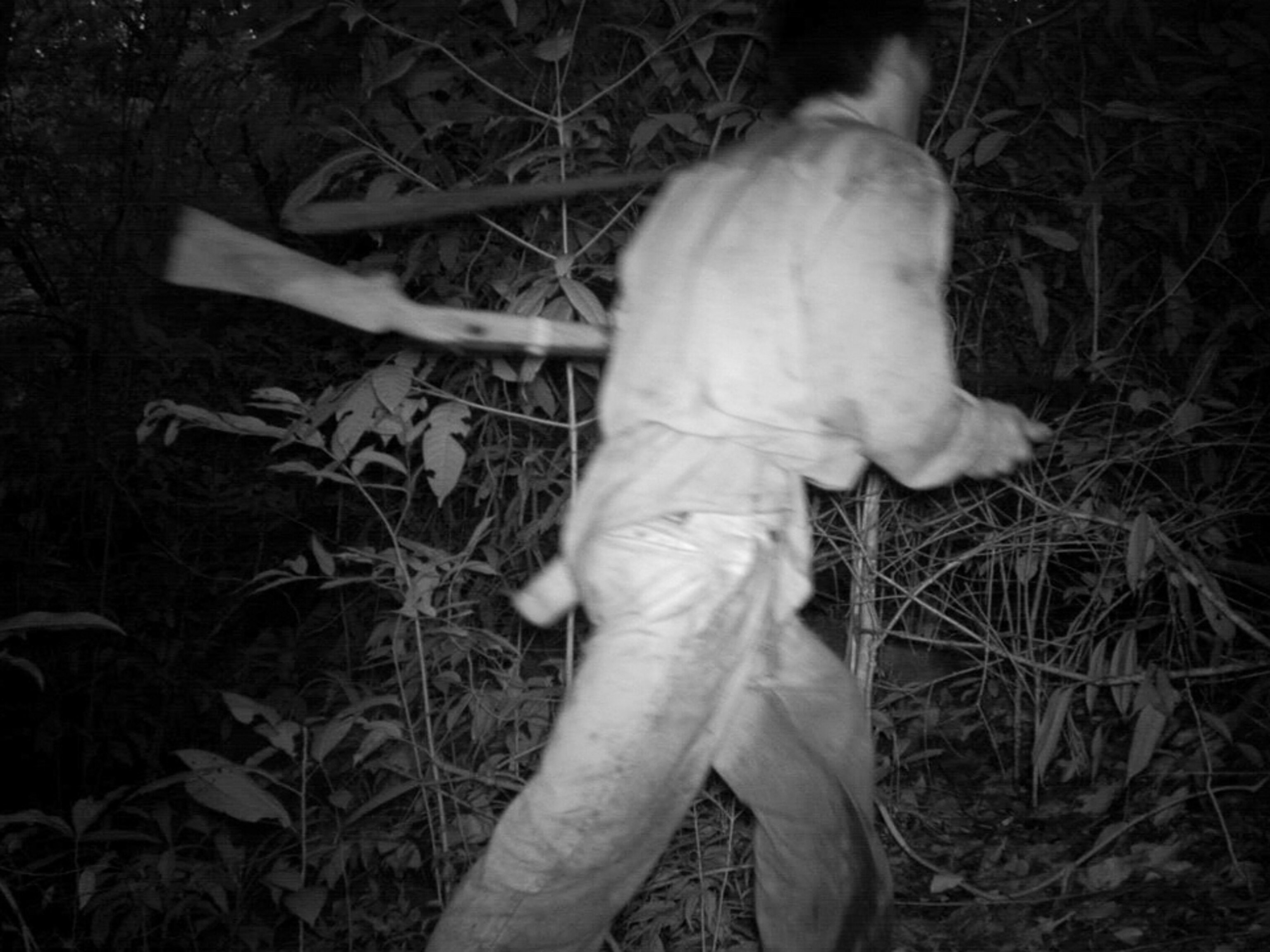 Camera-Trap Pictures: Mammals—And a Poacher—Exposed