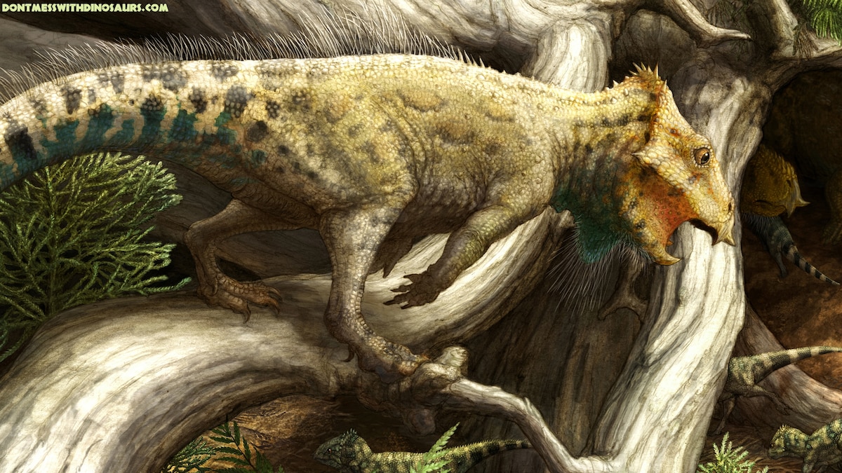 Bunny-Size Dinosaur Was First of Its Kind in America | National Geographic