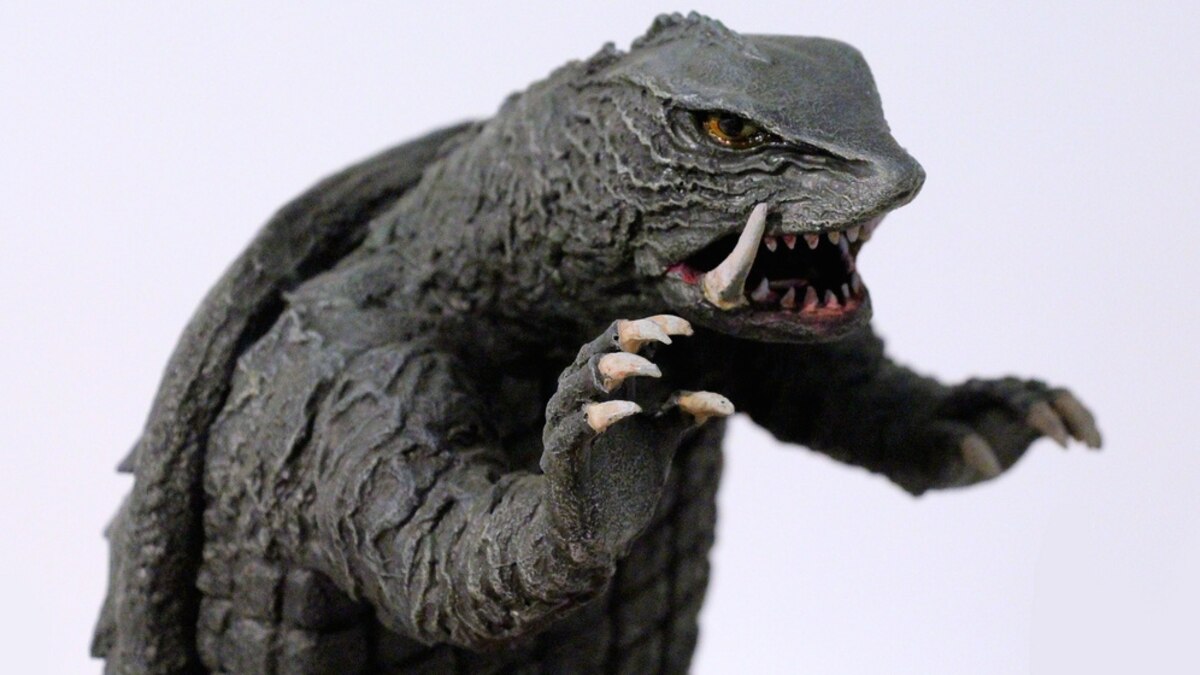 Attack of the Monster Turtles | National Geographic