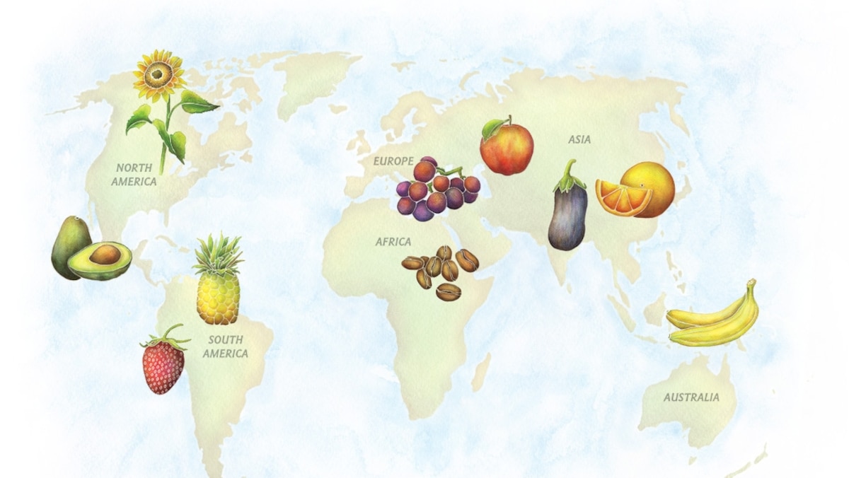 Why There’s No Such Thing as Local Food | National Geographic