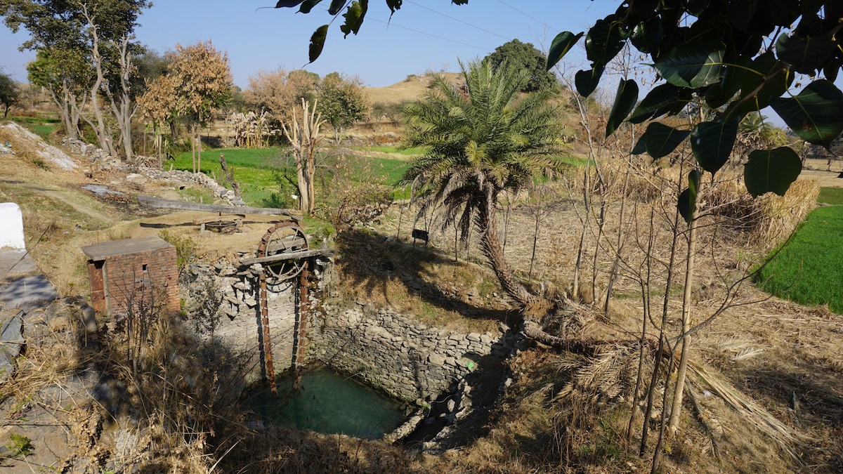 Meet the 'Seed Detective' who tracks down rare crops | National Geographic