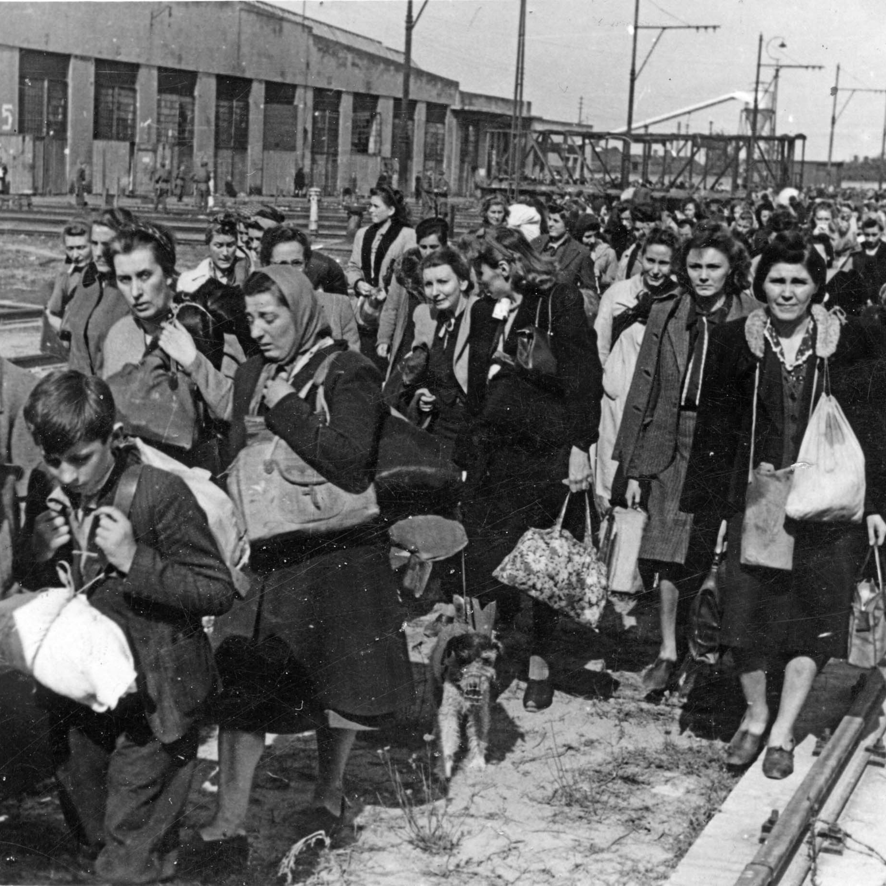 WWII’s brutality still haunts the children who survived it