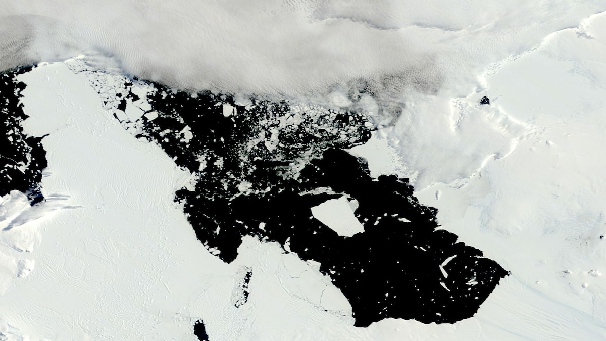 West Antarctica is melting—and human-caused climate change is to blame ...