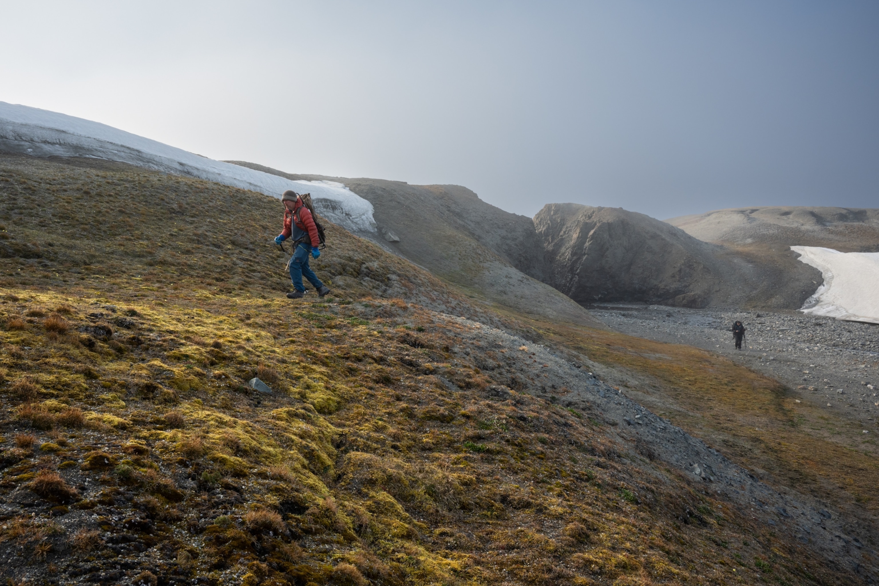 The last flower at the top of the world—and the perilous journey to ...
