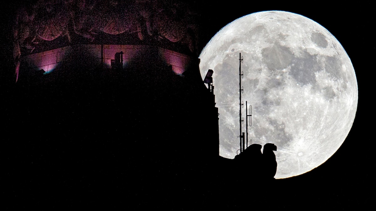 How to See the 'Cold Moon' Supermoon in December | National Geographic