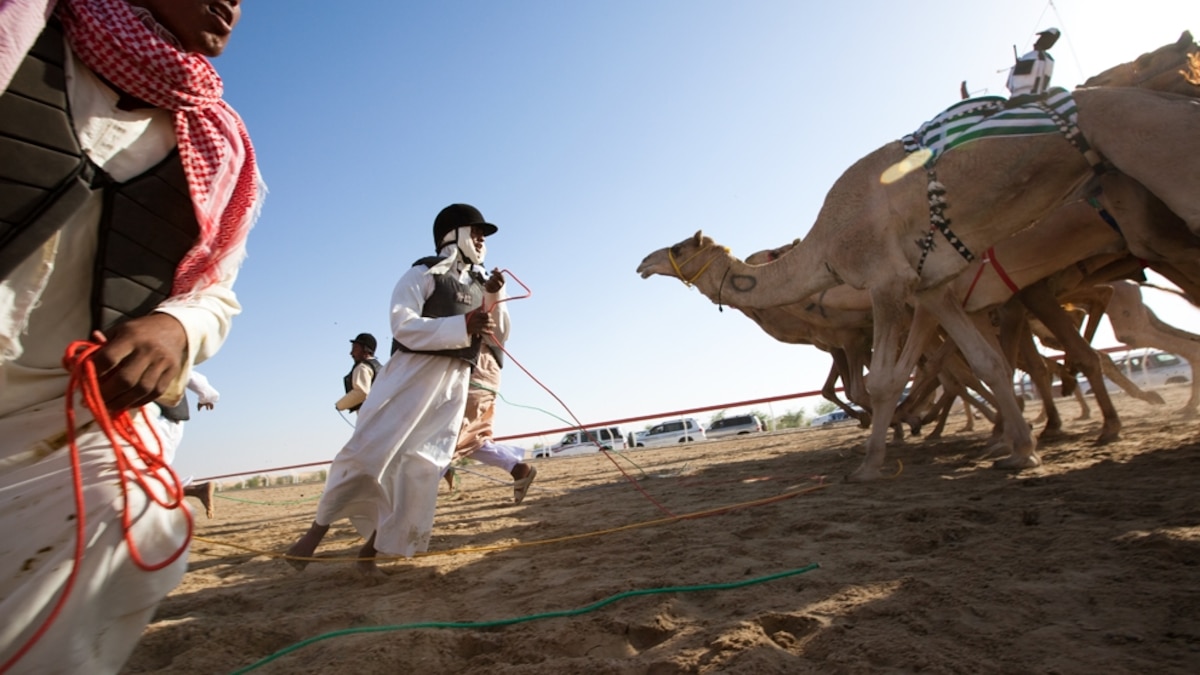 Camel Racing in Abu Dhabi Photos -- National Geographic | National ...