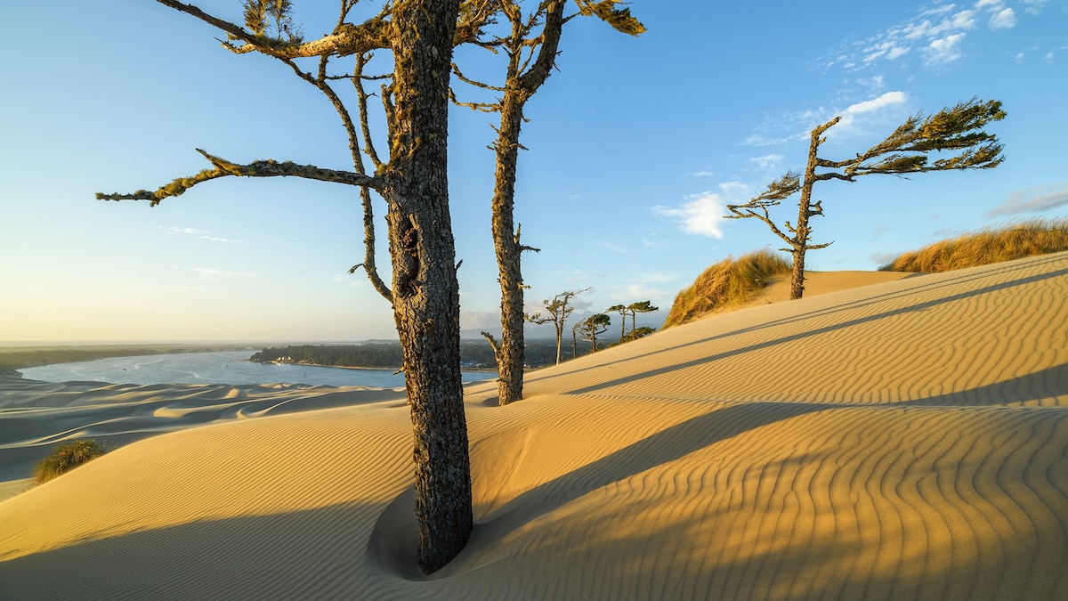 These are the real dunes that inspired Dune—and you can visit them ...