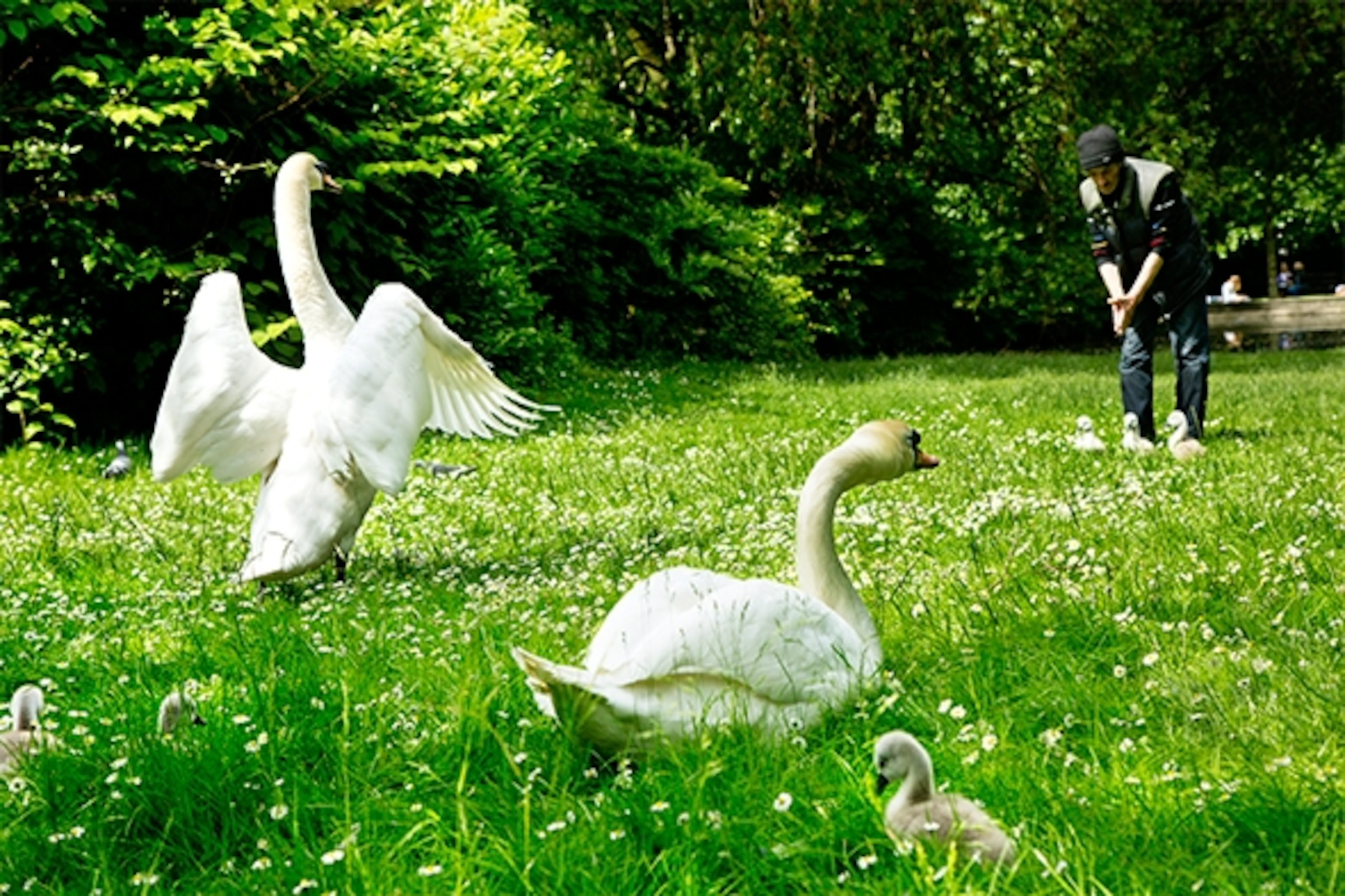 The Perfect Day in Dublin
