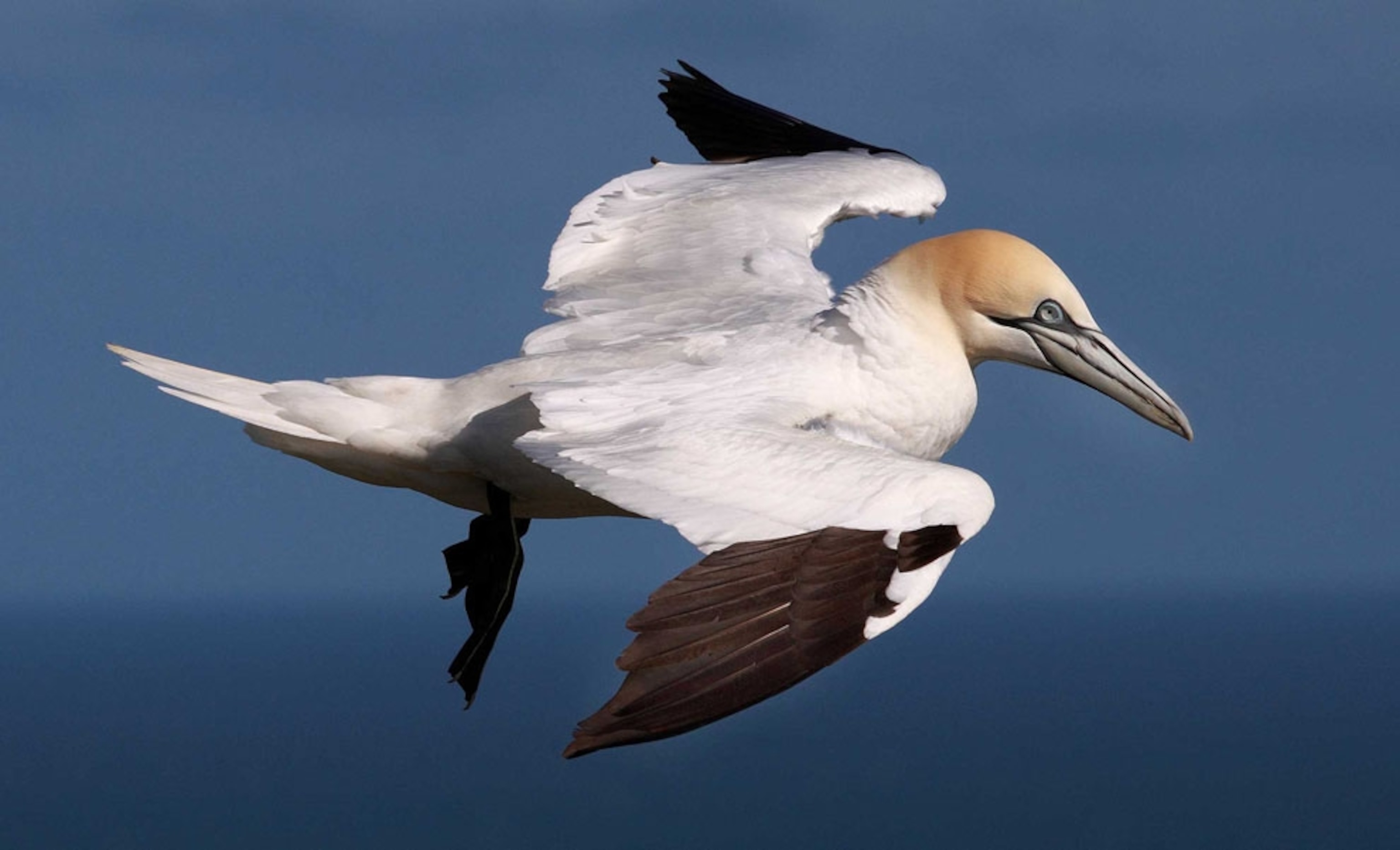 Your England Photos -- National Geographic | National Geographic