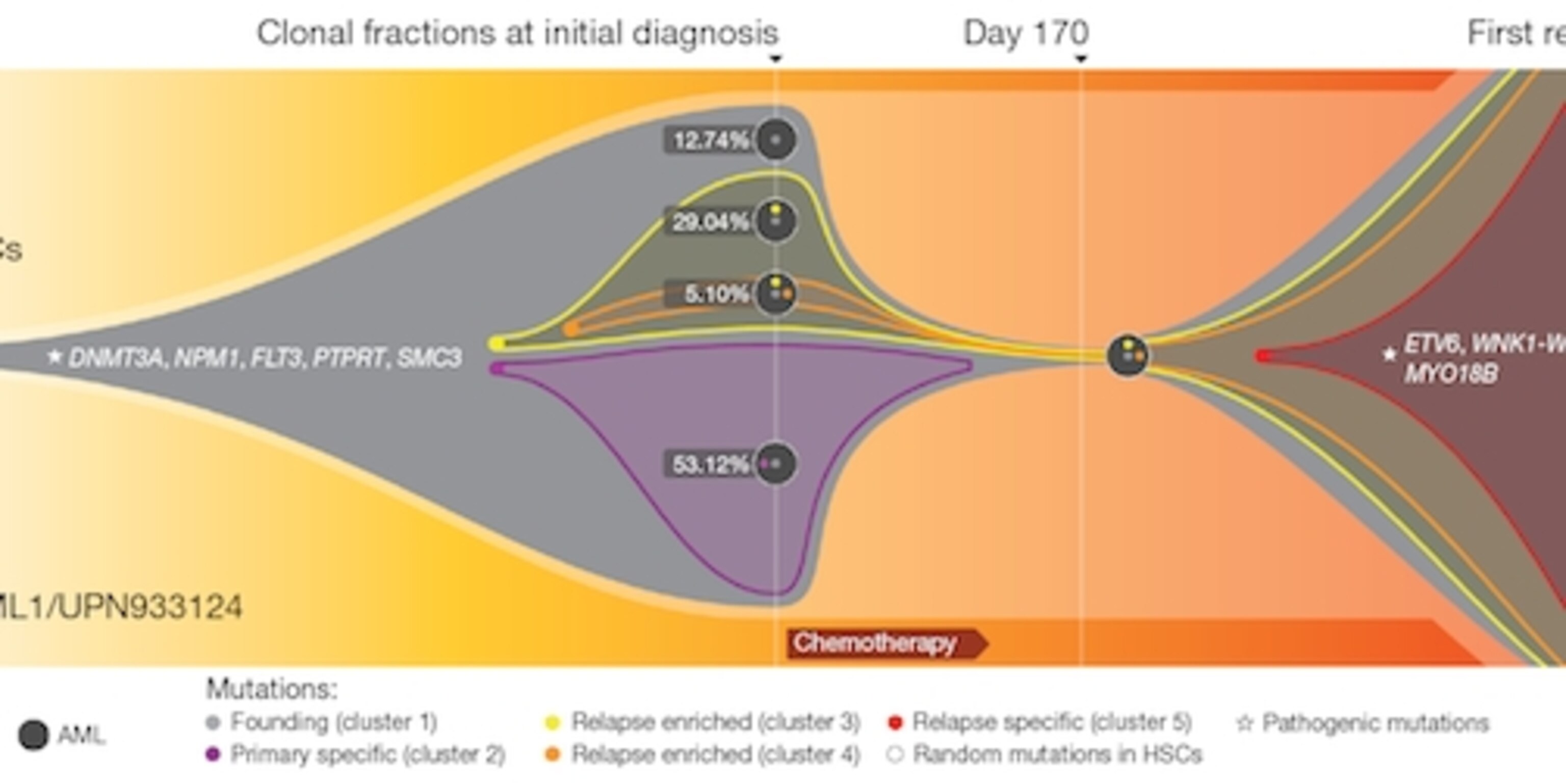 Inside Darwin’s Tumor
