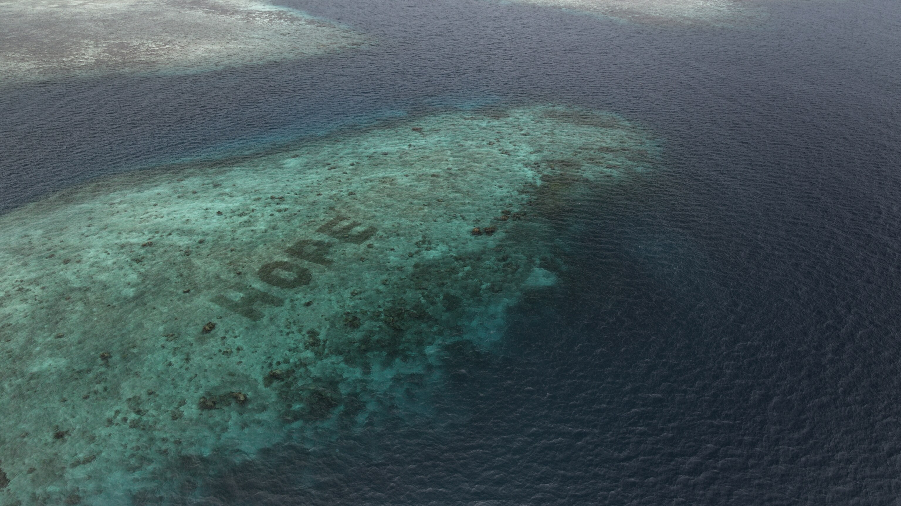 Why our coral reefs need hope