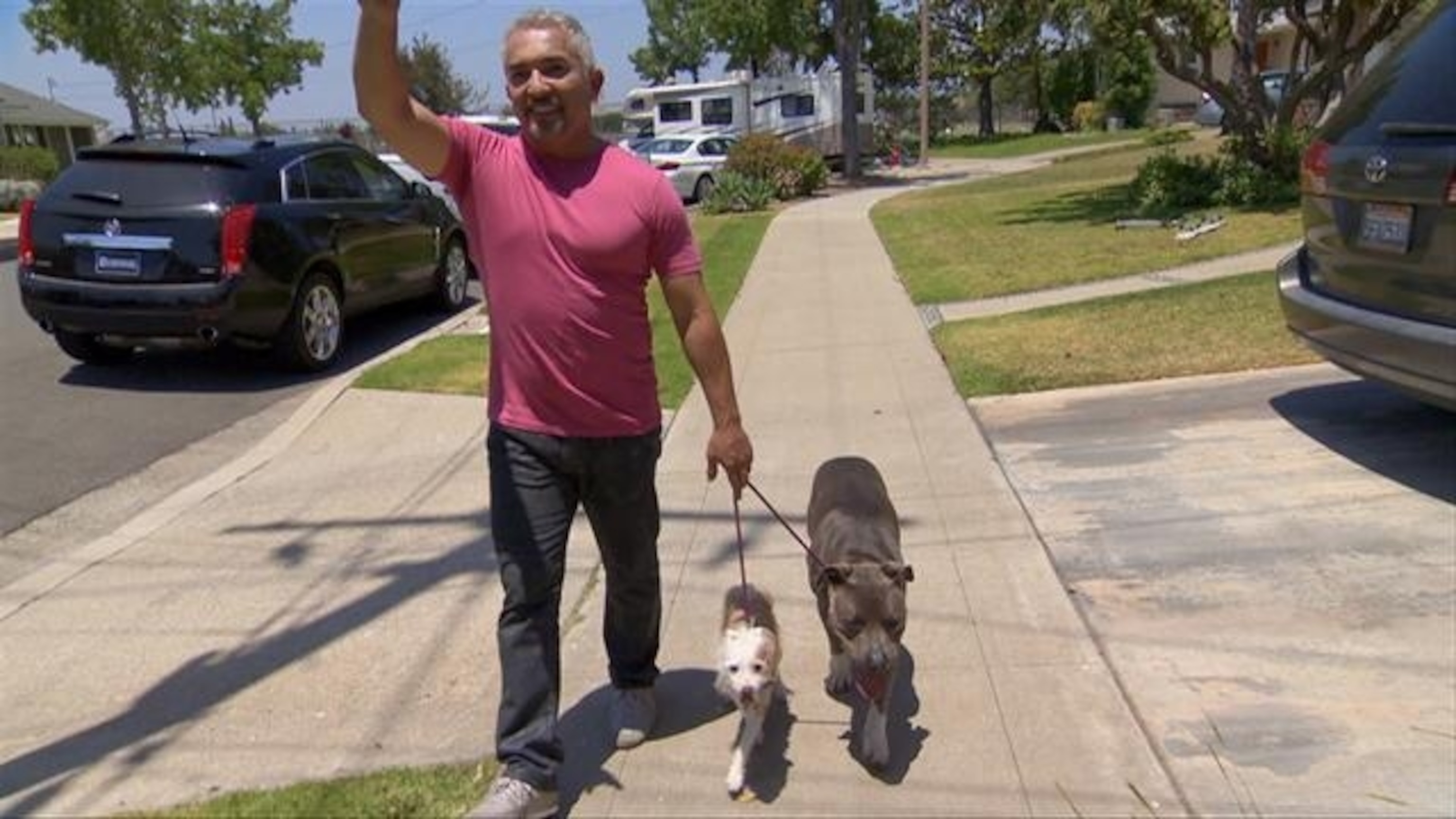 Park Cesar Milan Video