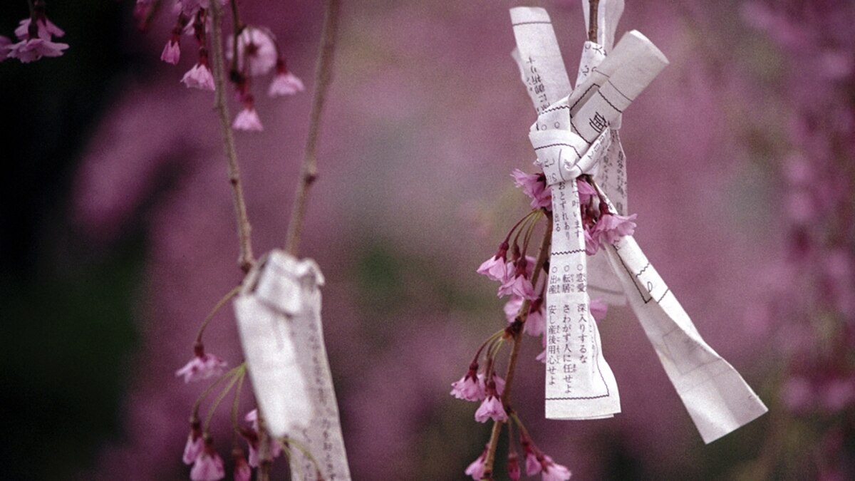 Trip Lit: The Wishing Trees -- National Geographic Traveler